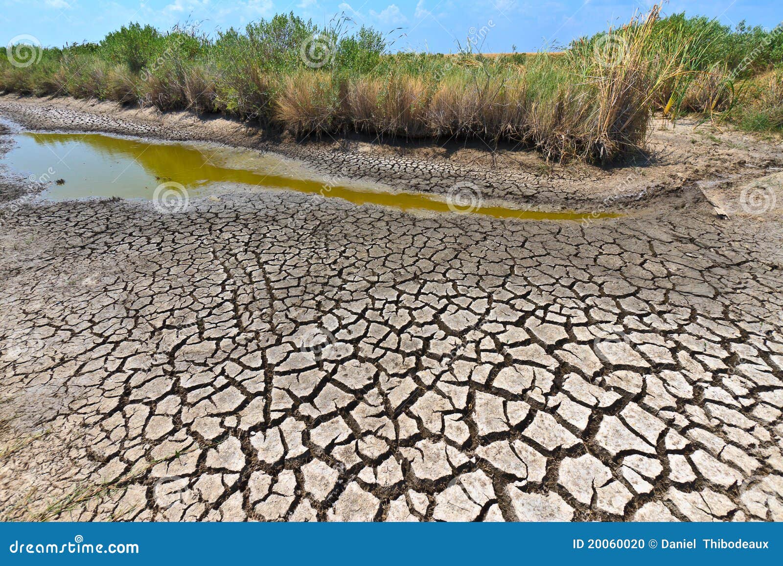 Drought Conditions stock photo. Image of water, drought - 20060020
