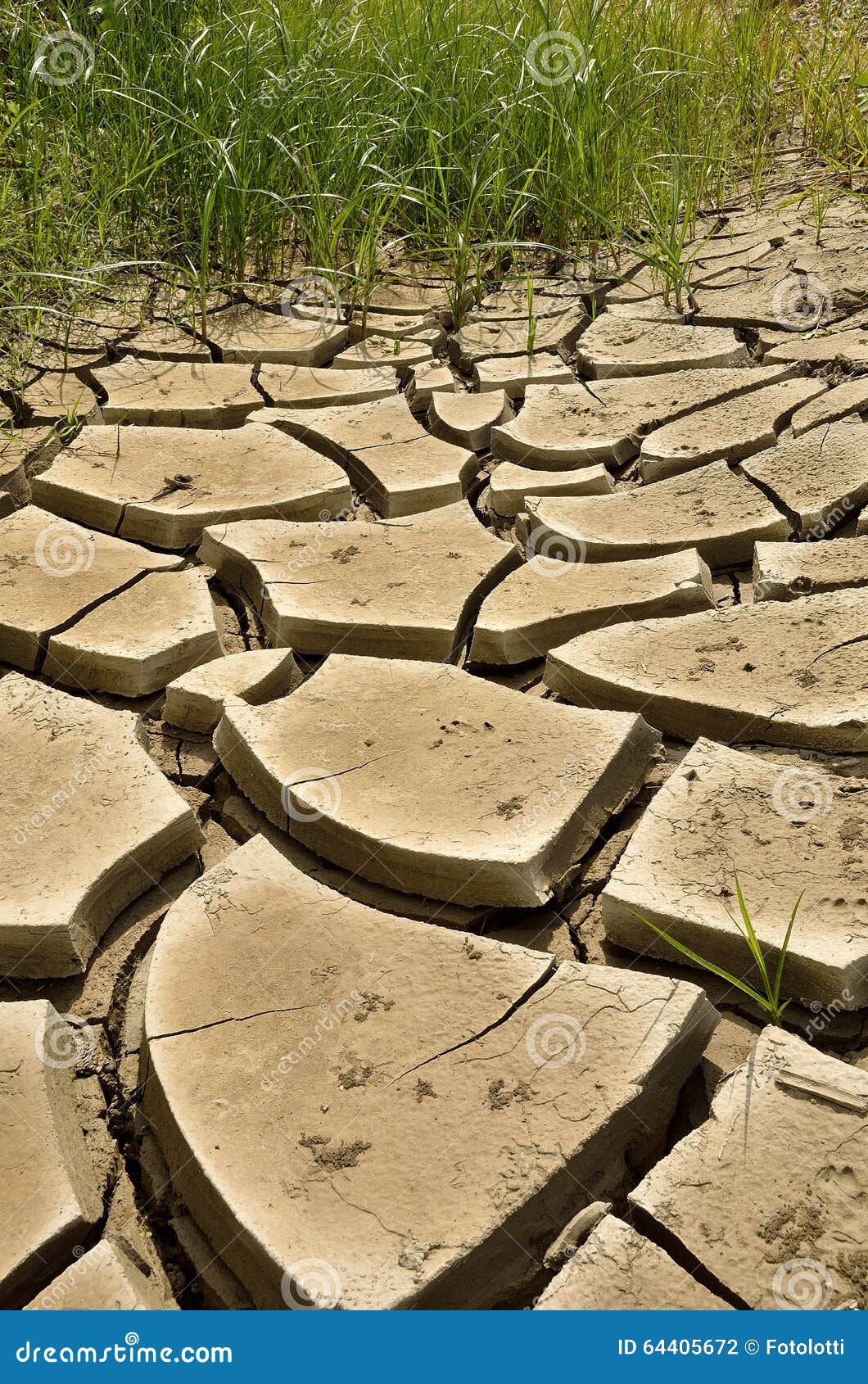 Drought stock photo. Image of global, agriculture, ecology - 64405672