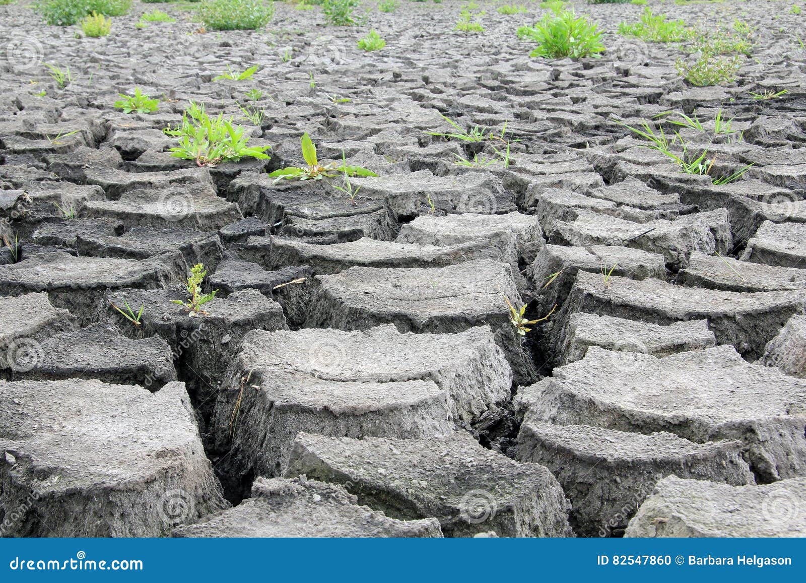 Drought cracked earth stock photo. Image of dramatic - 82547860