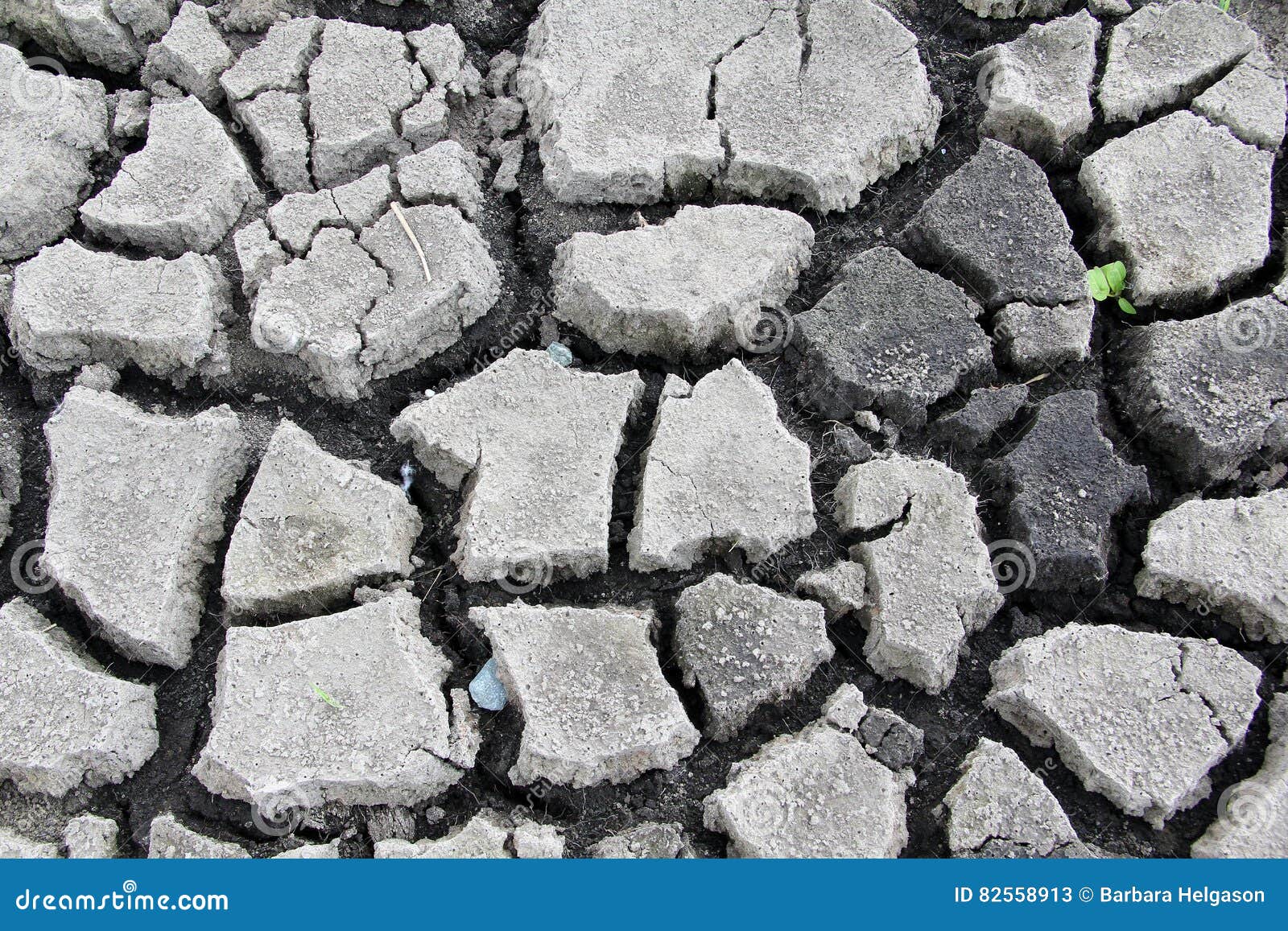 Drought Cracked Pond Wetland, Swamp Very Drying Up The Soil Crust Earth ...