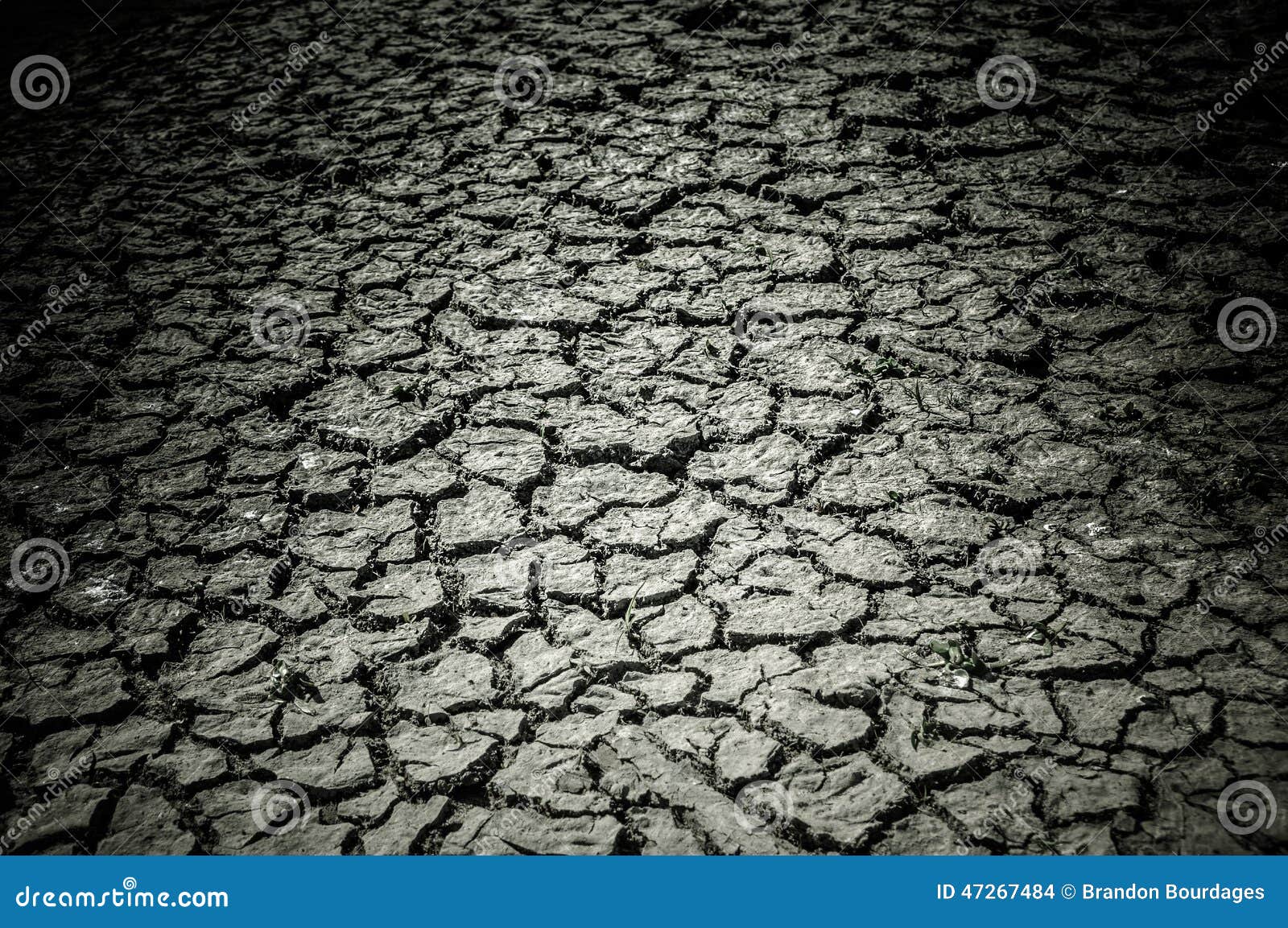Drought Cracked Ground stock photo. Image of dirty, field - 47267484
