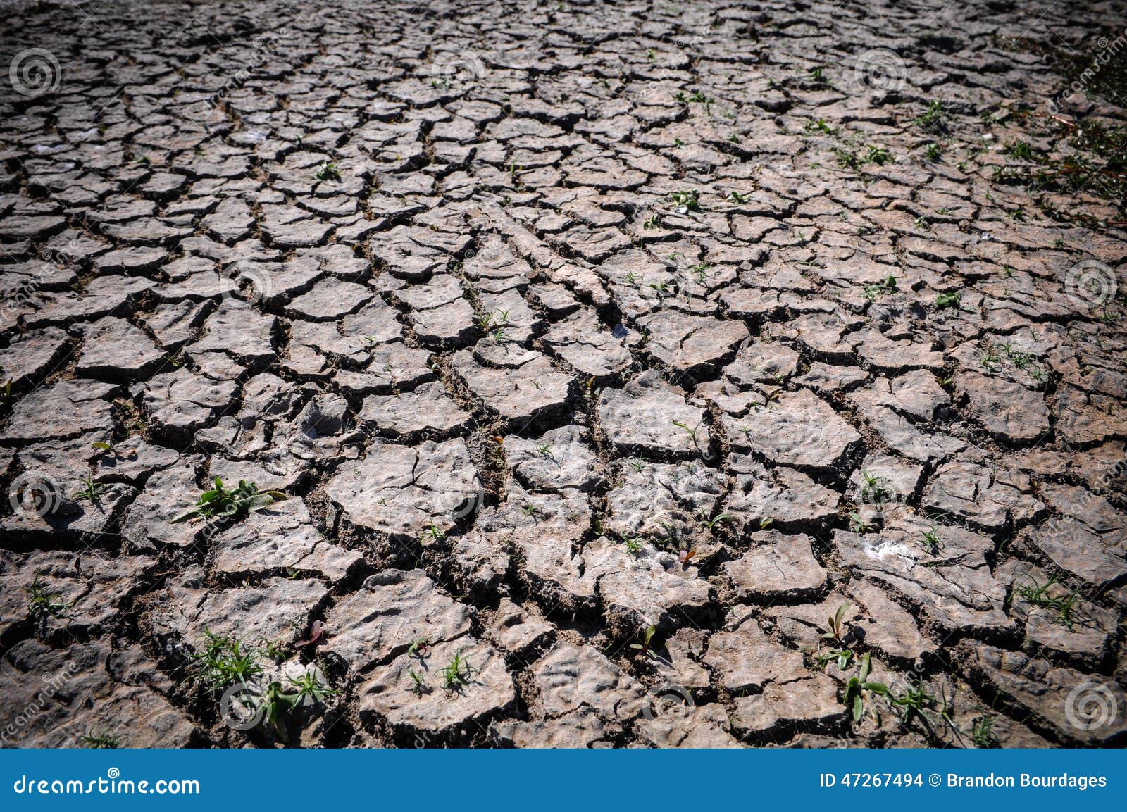 Drought Cracked Ground stock photo. Image of grain, dirt - 47267494