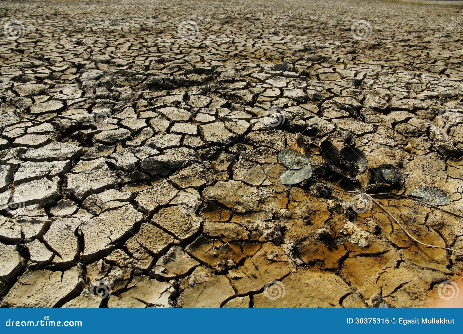 Drought stock photo. Image of danger, earth, cracked - 30375316