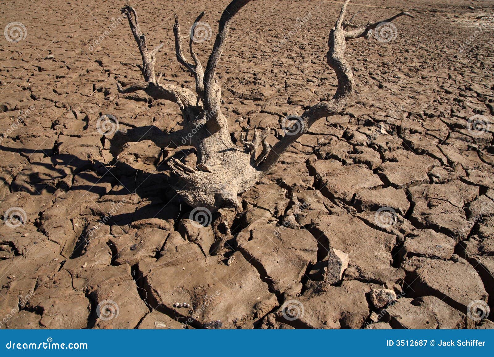 Drought Cracks stock image. Image of water, environment - 3512687