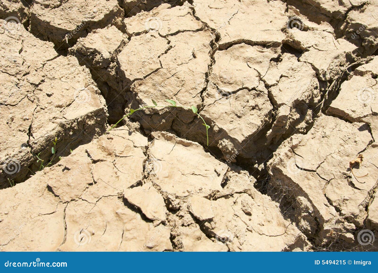 Drought cracks stock image. Image of drought, fresh, sunlight - 5494215