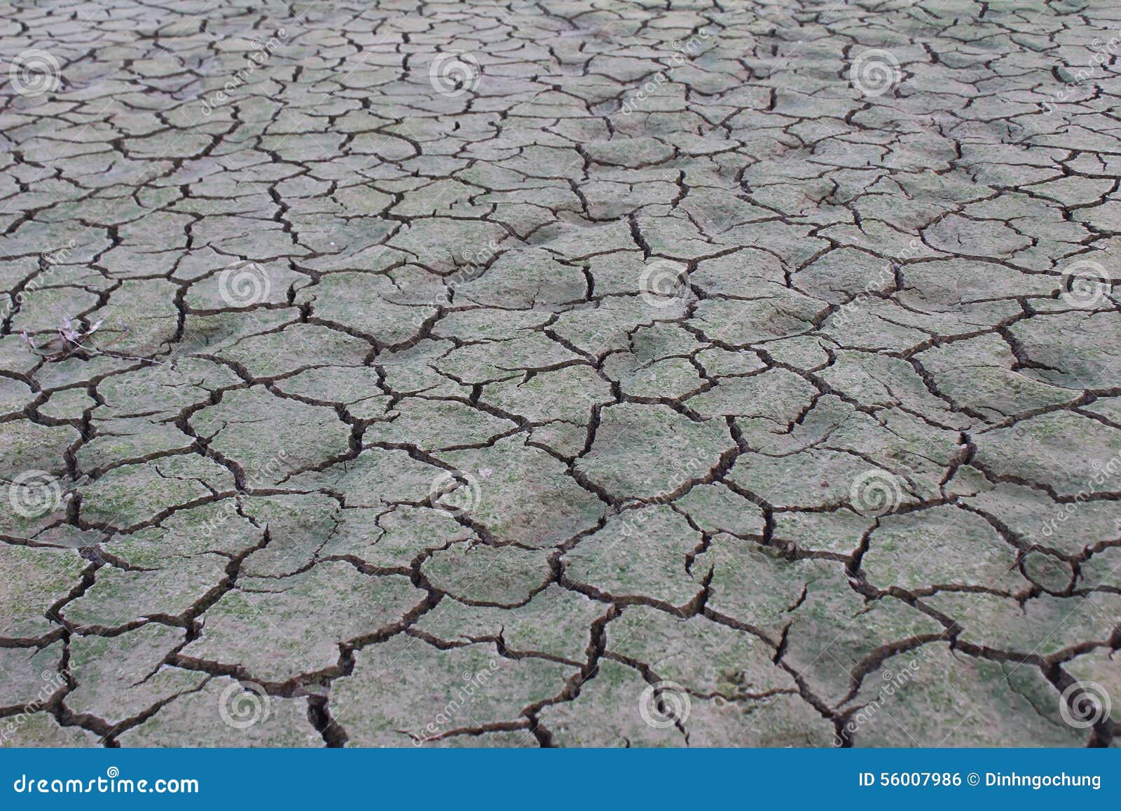 Drought disaster stock photo. Image of drought, land - 56007986