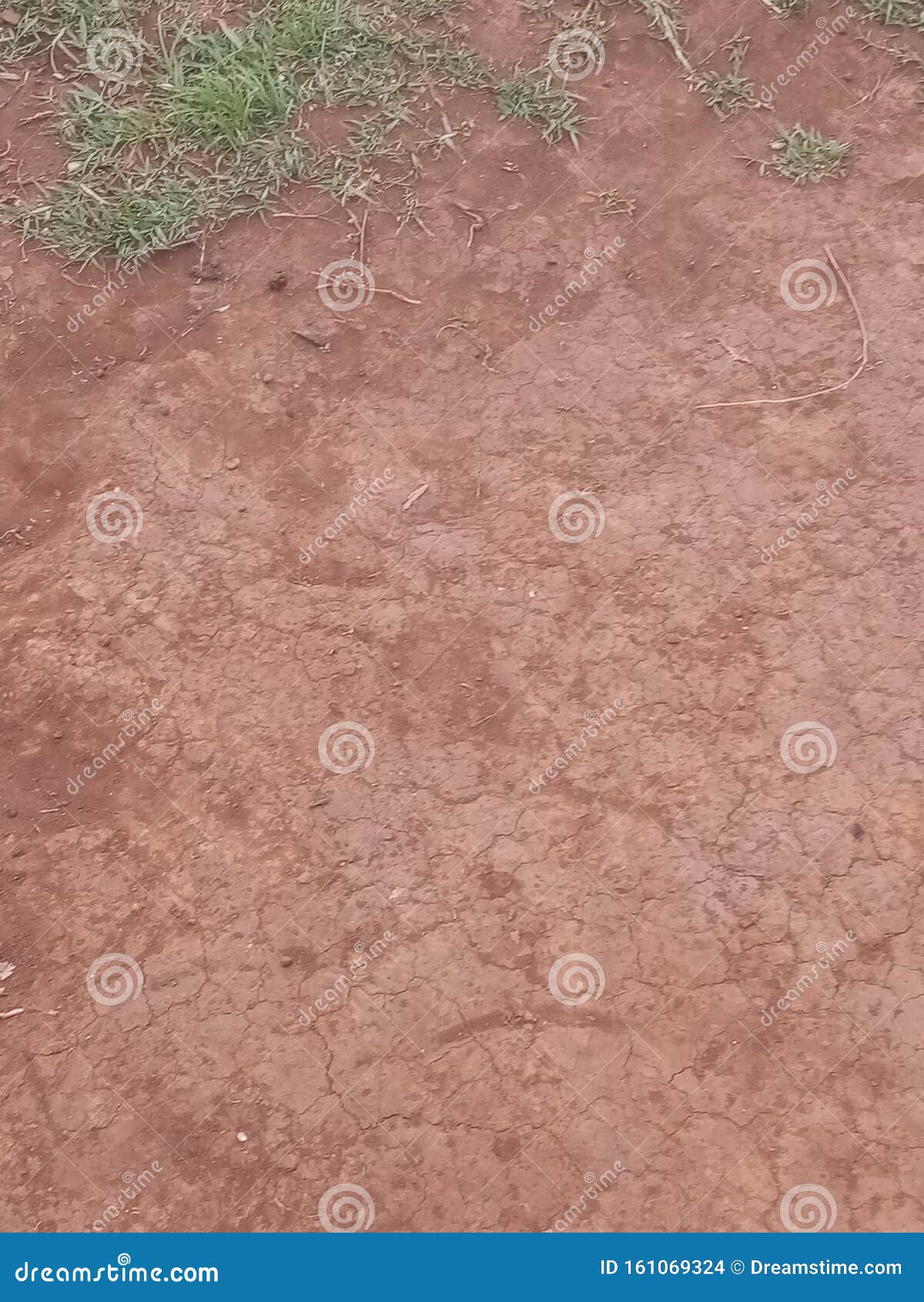Drought stock photo. Image of drought, famine, death - 161069324