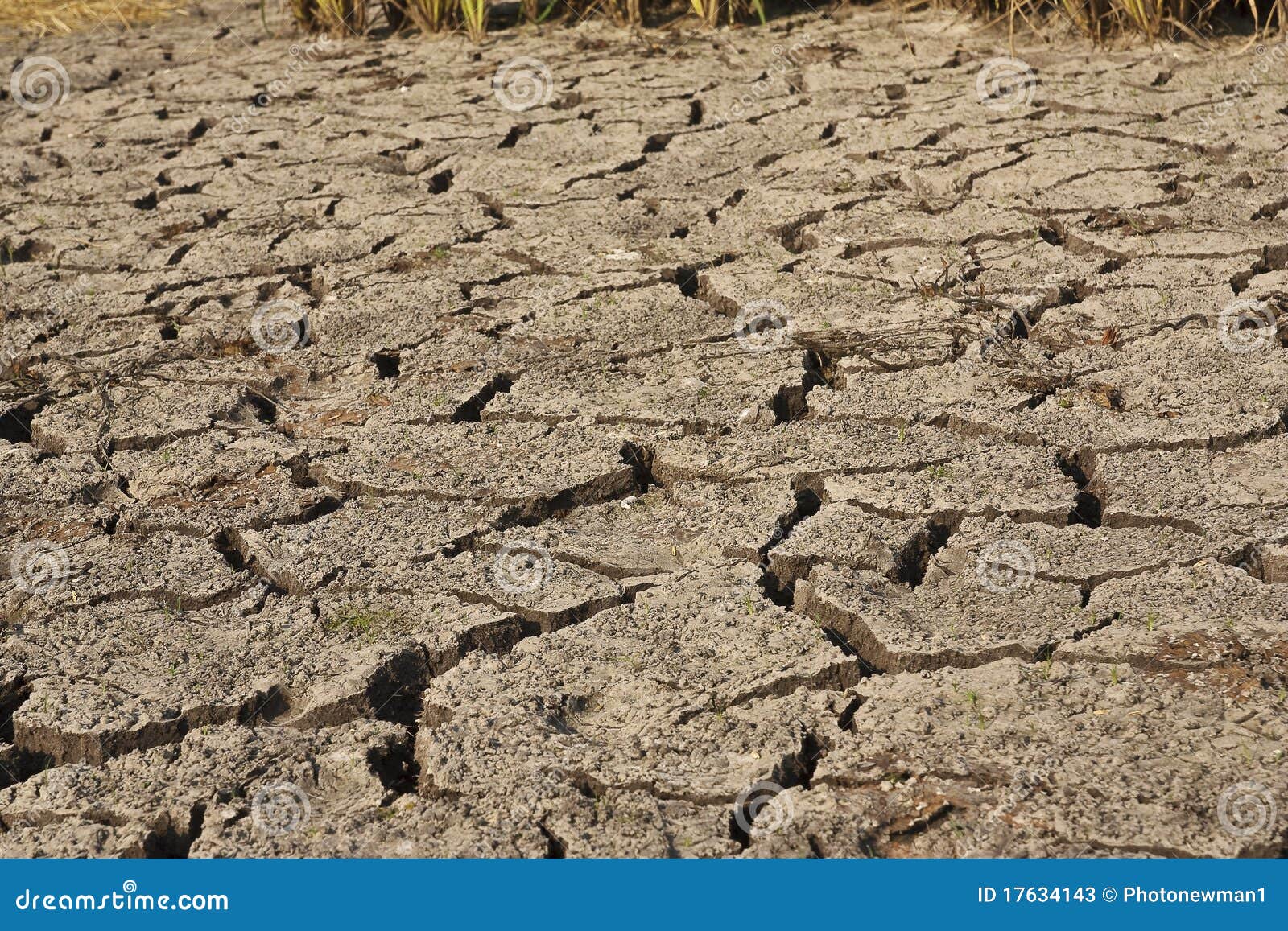 The drought in the field stock image. Image of geology - 17634143