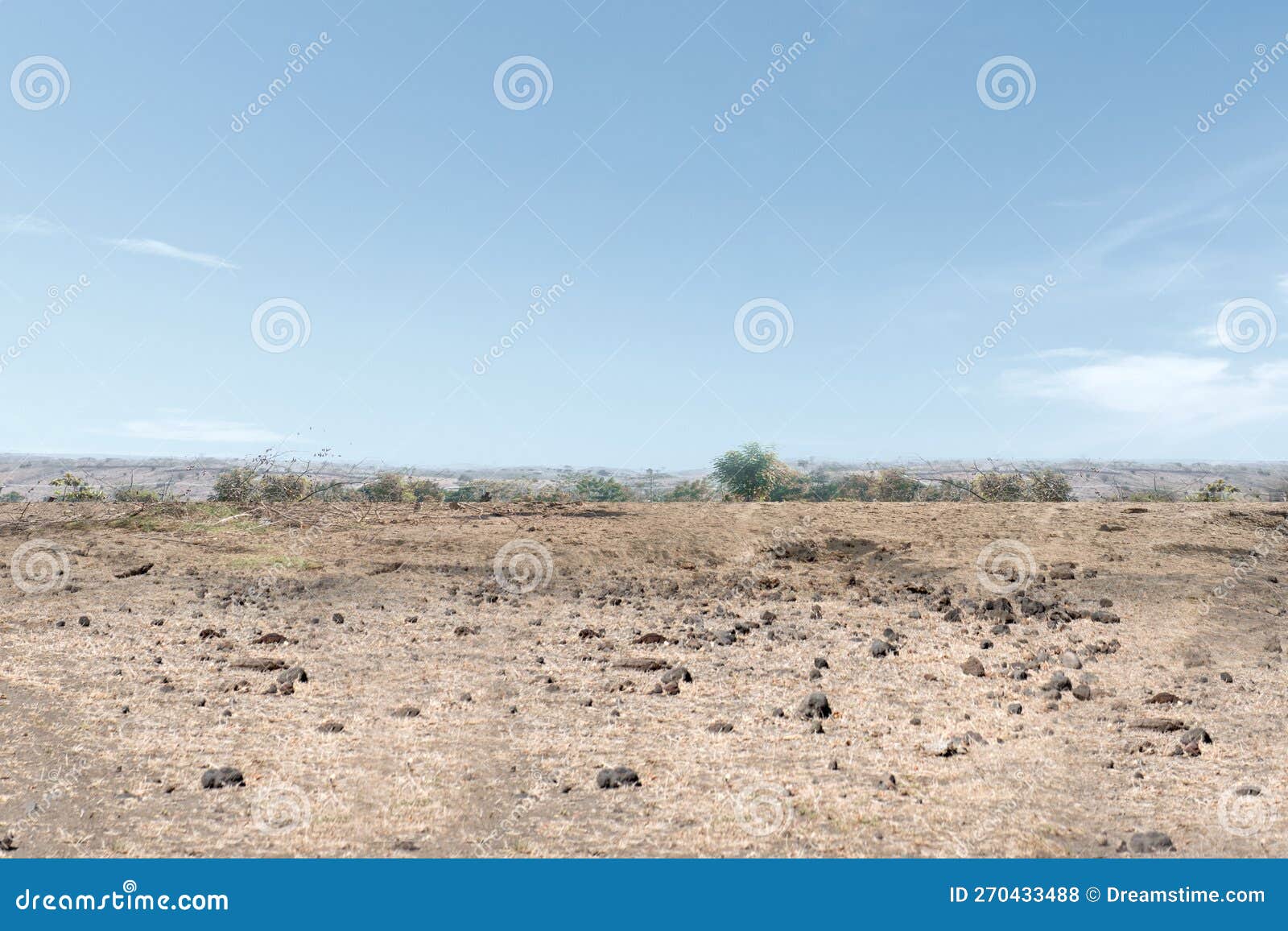 Drought field stock photo. Image of sustainability, crisis - 270433488