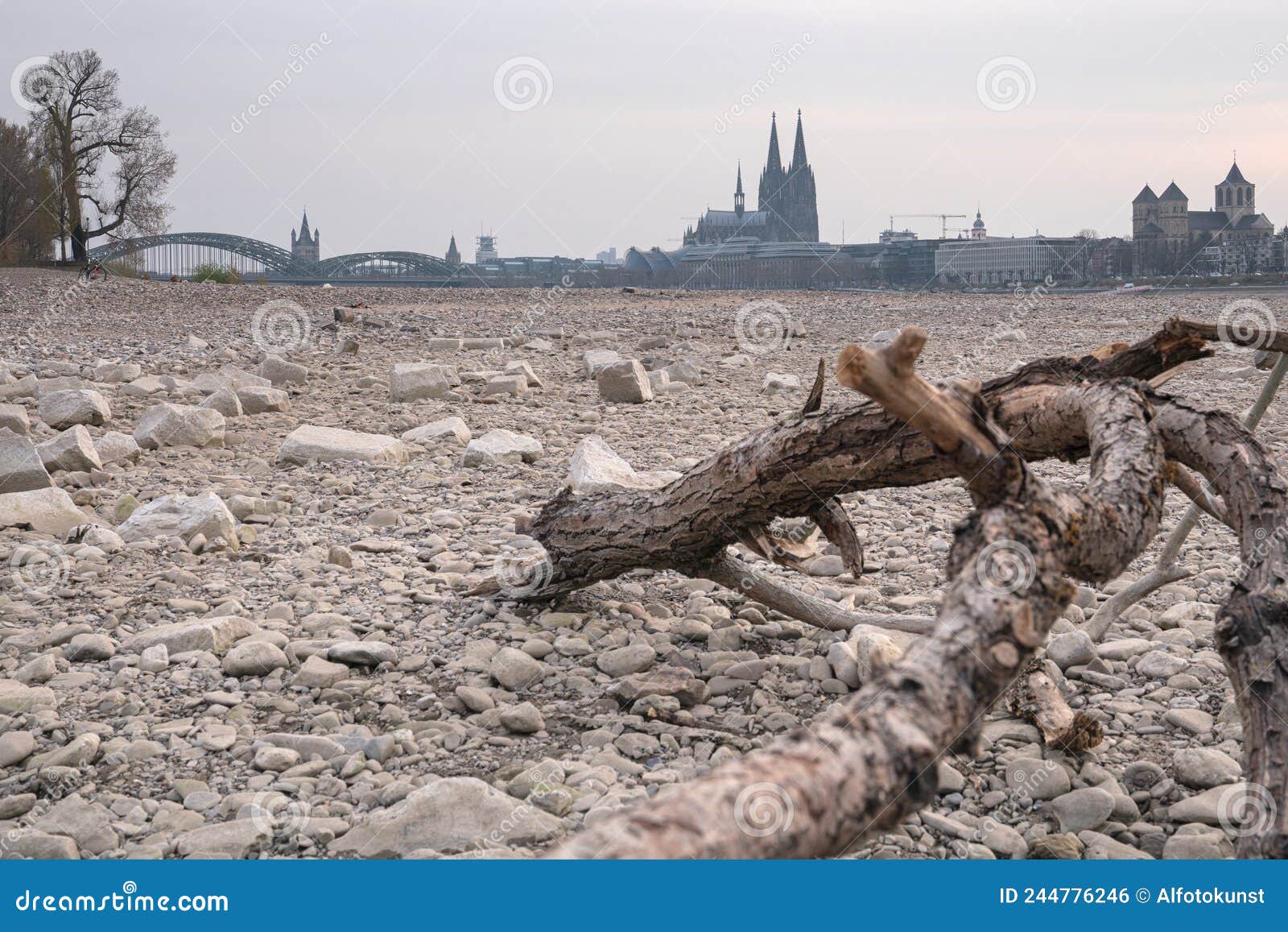 Drought in Germany, Low Water on Rhine River Stock Photo - Image of ...