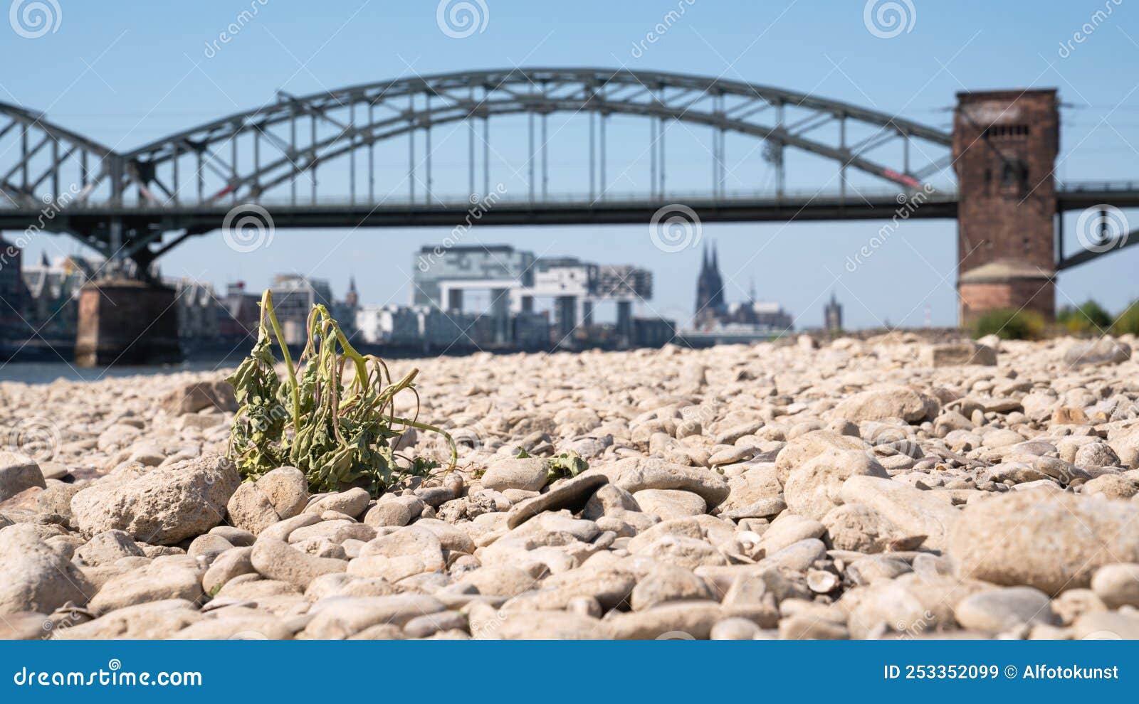 Drought in Germany, Low Water on Rhine River Stock Image - Image of ...