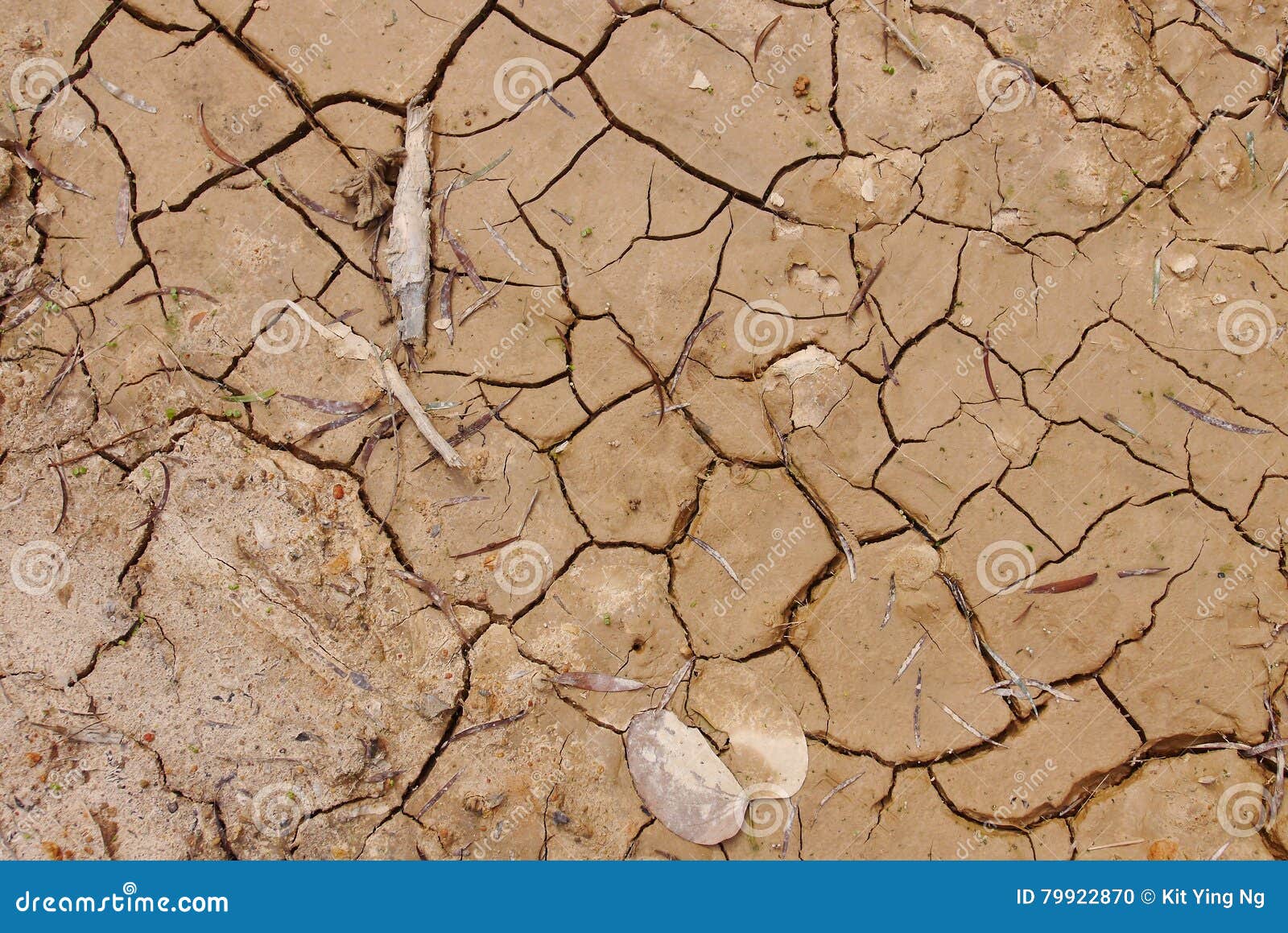 Drought ground stock photo. Image of gravel, climate - 79922870