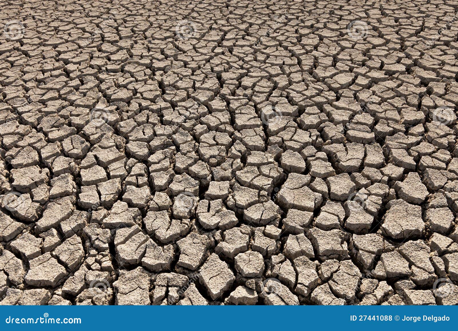 Drought land stock photo. Image of global, disaster, background - 27441088
