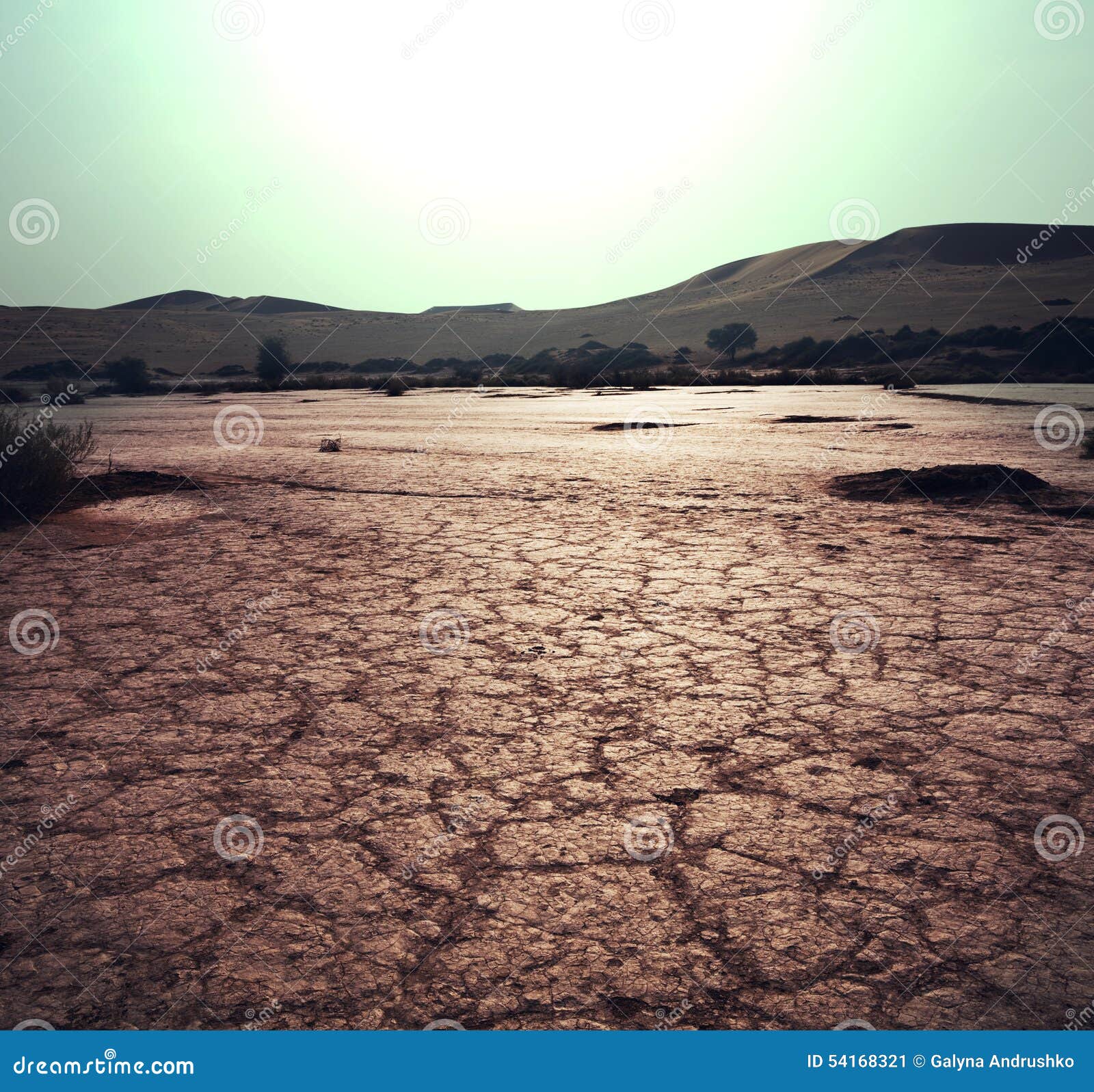 Drought stock image. Image of drought, bare, destruction - 54168321