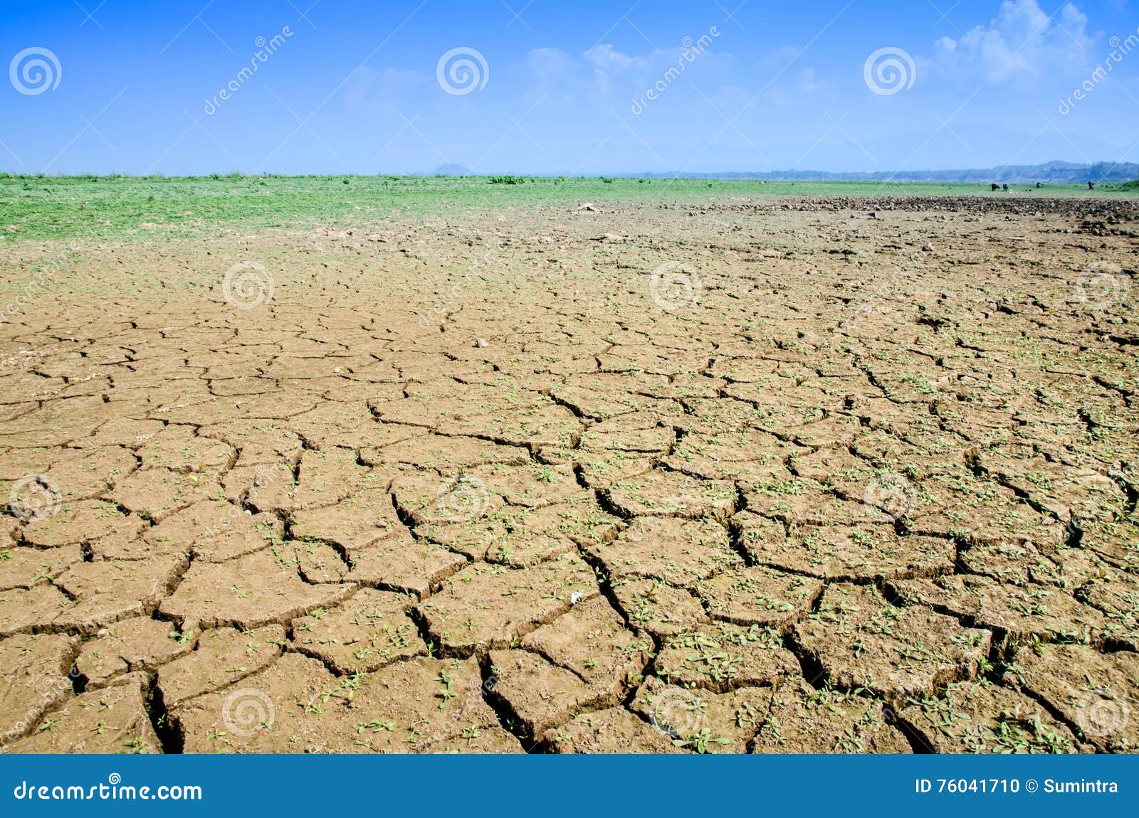 Drought Land Against a Blue Sky Stock Photo - Image of dead, adventure ...