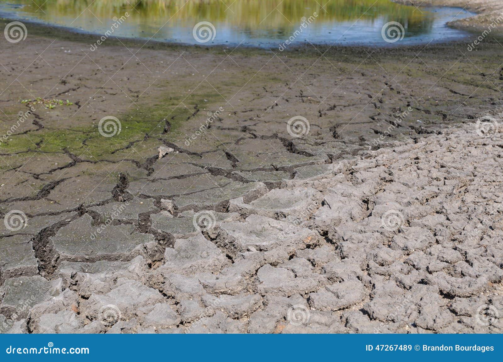 Drought land stock image. Image of food, dirty, dead - 47267489