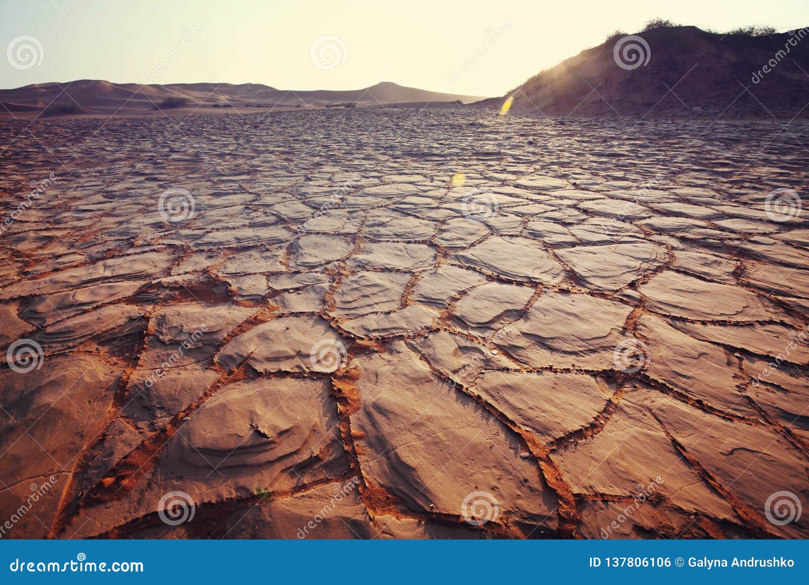 Drought land stock photo. Image of environment, clay - 137806106