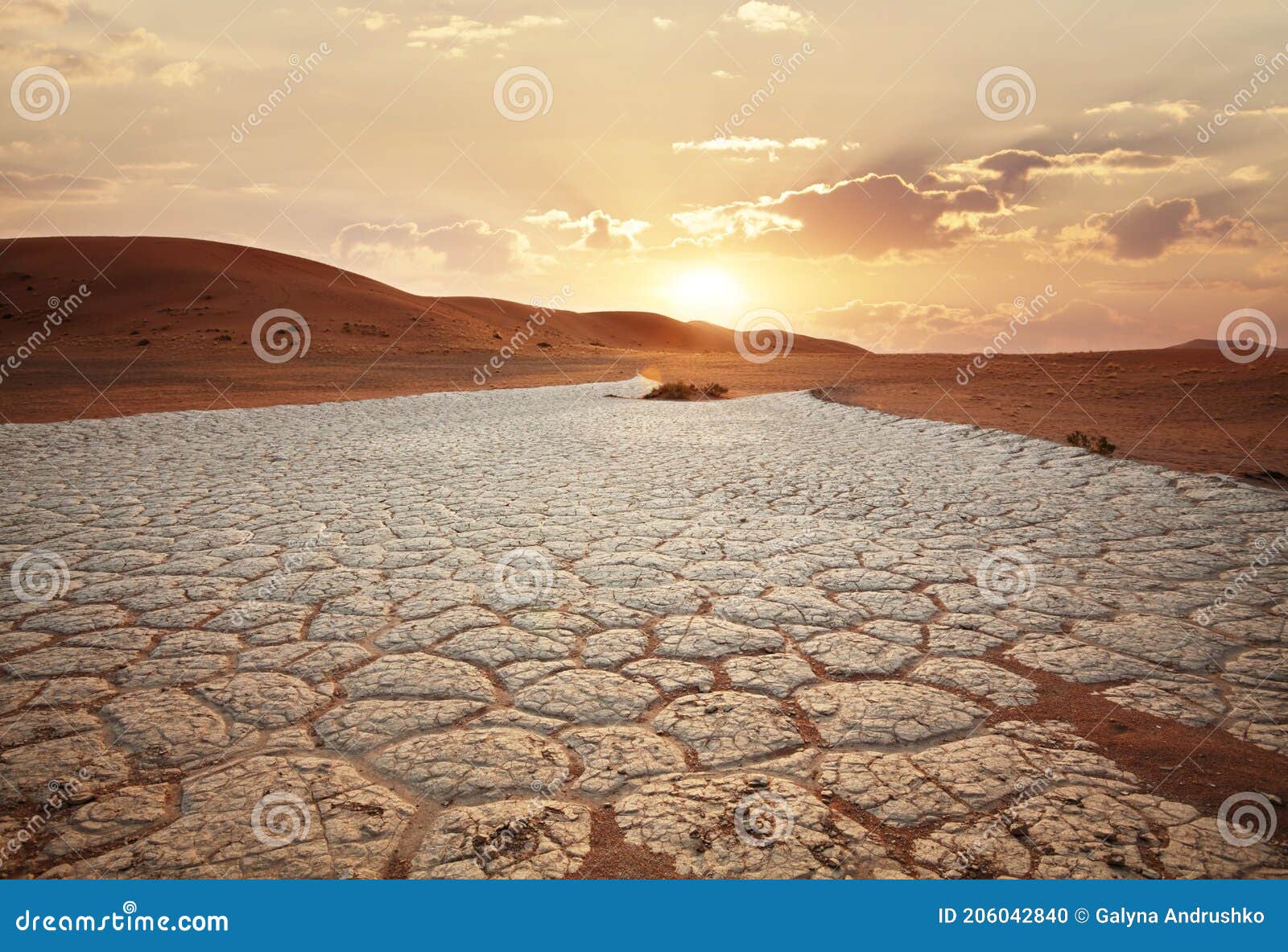 Drought land stock photo. Image of grow, desert, drought - 206042840