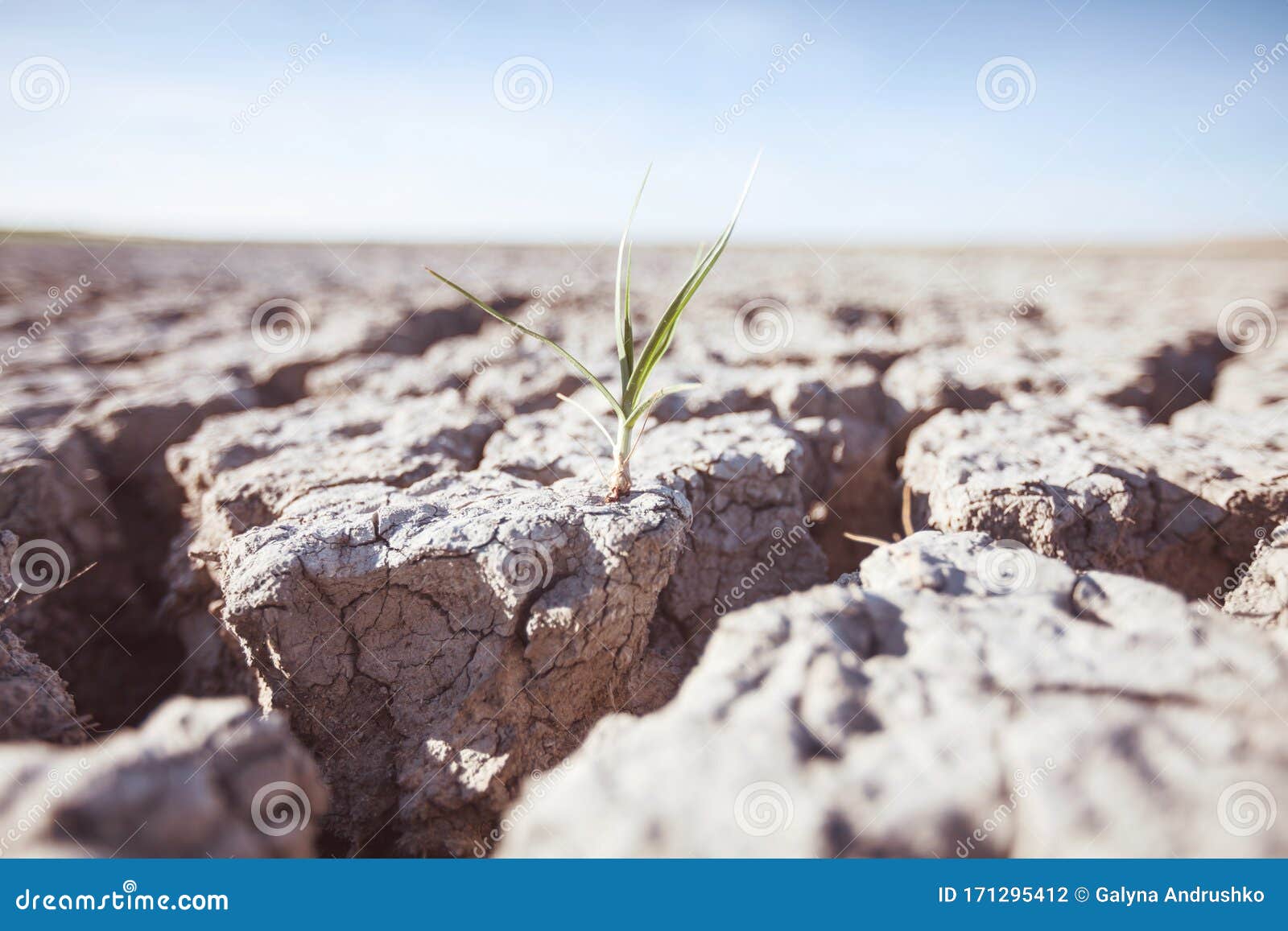 Drought land stock photo. Image of earth, desert, agriculture - 171295412