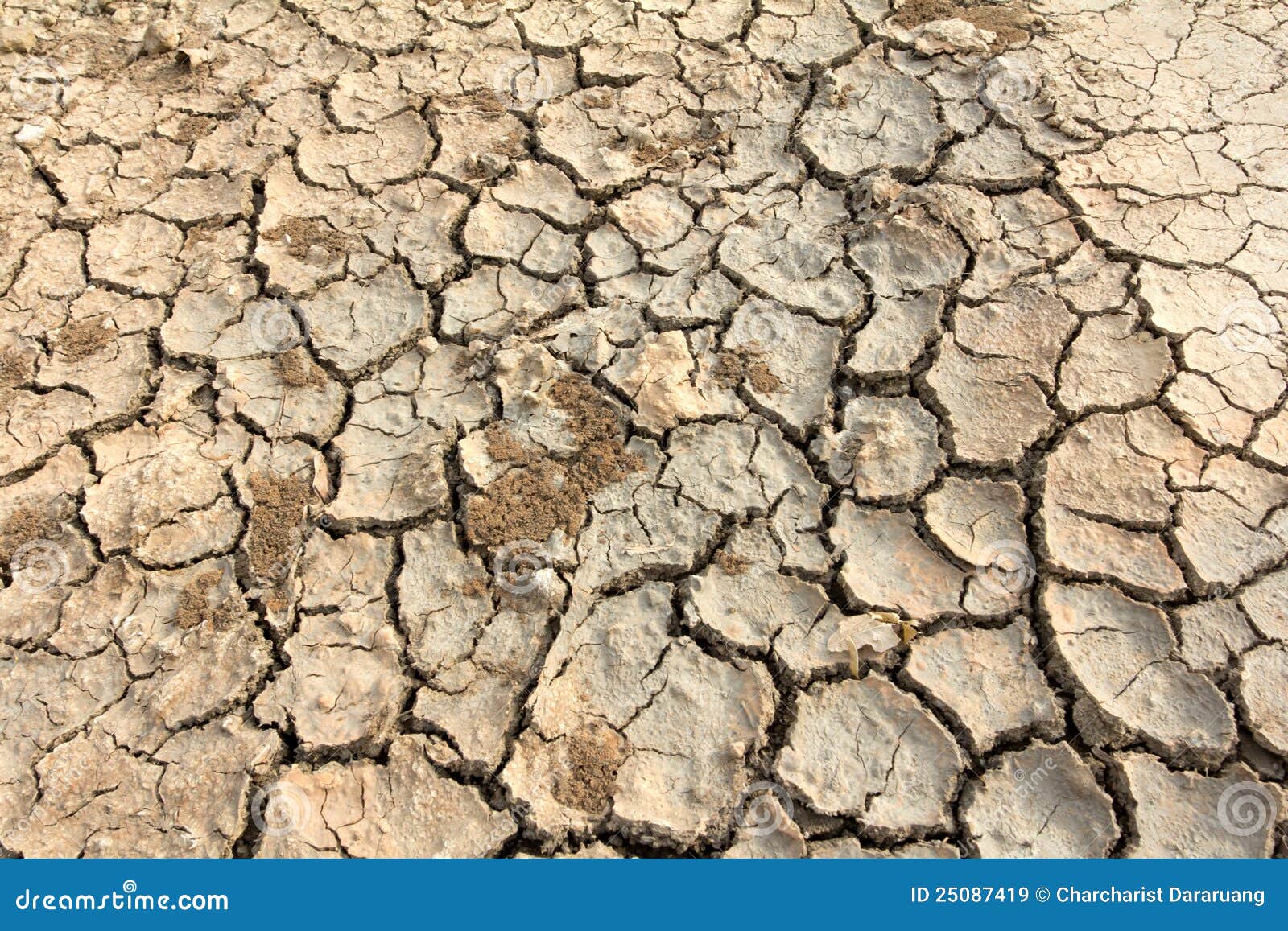 Drought land soil stock image. Image of house, dryness - 25087419