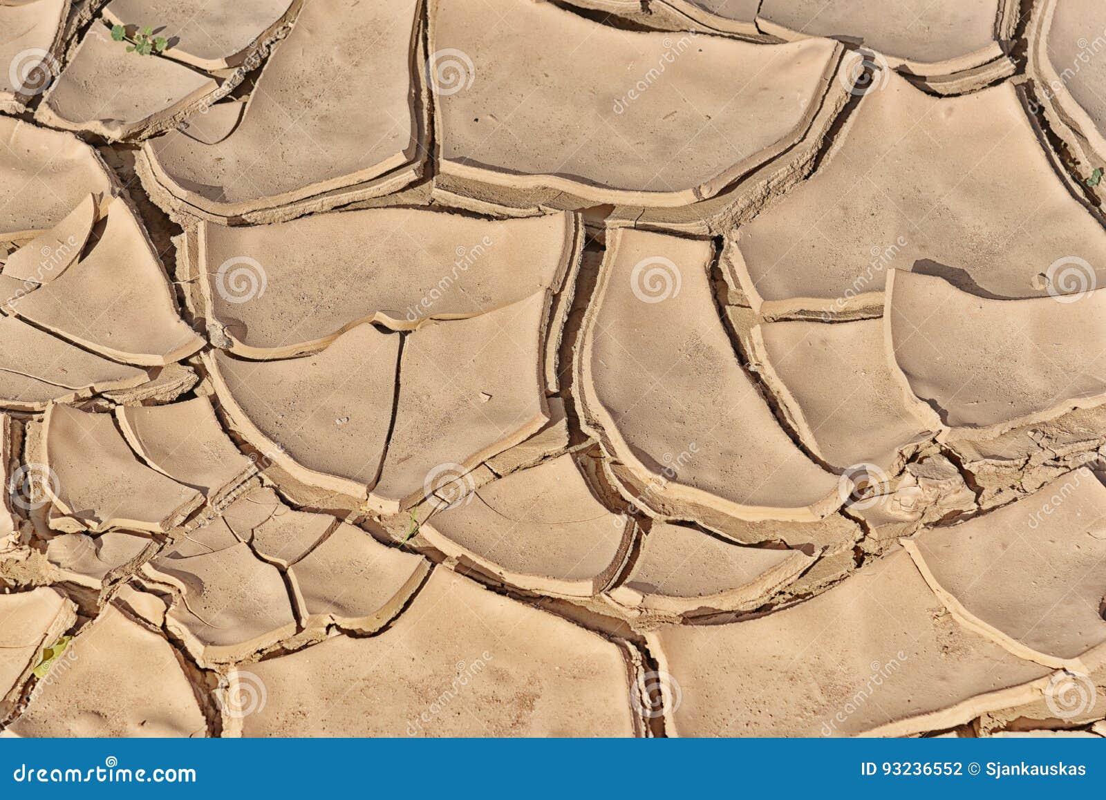 Dry Land Texture Stock Photo | CartoonDealer.com #69595188