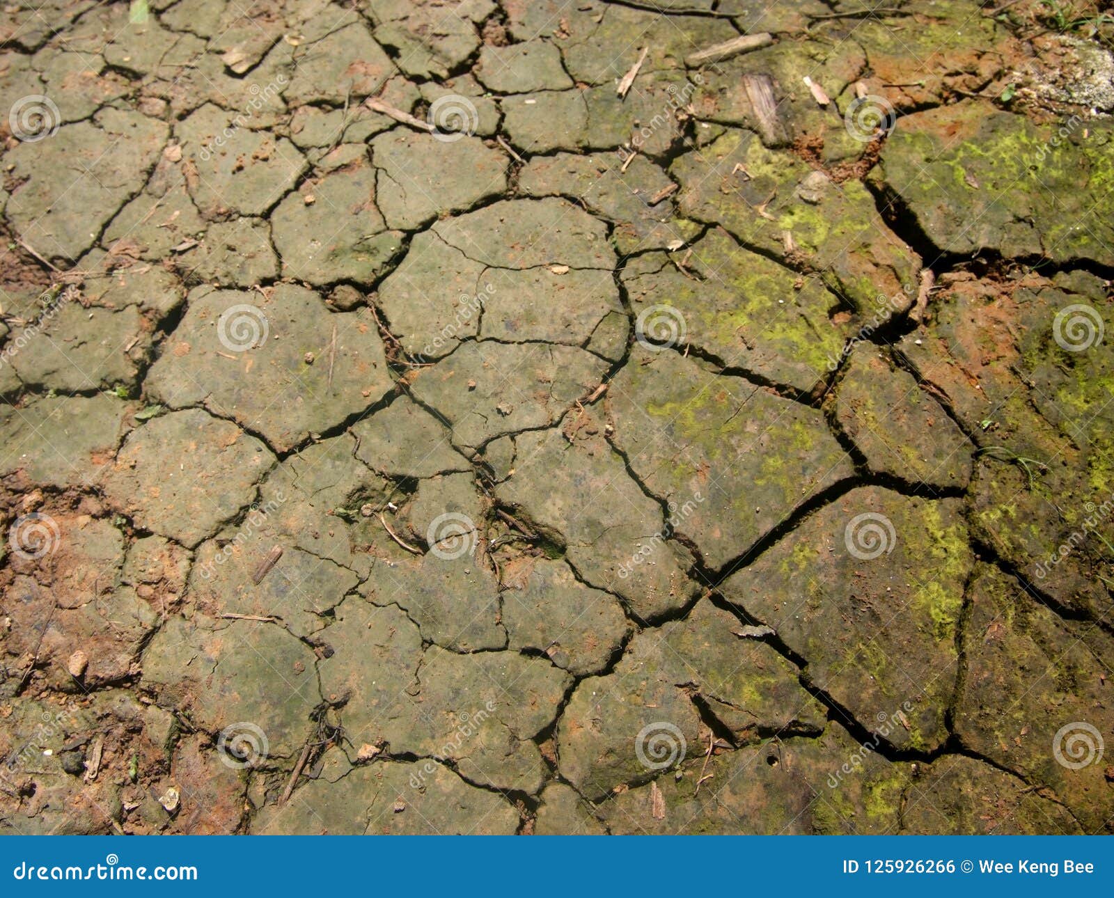 Drought stock photo. Image of rainforest, ocean, tropical - 125926266