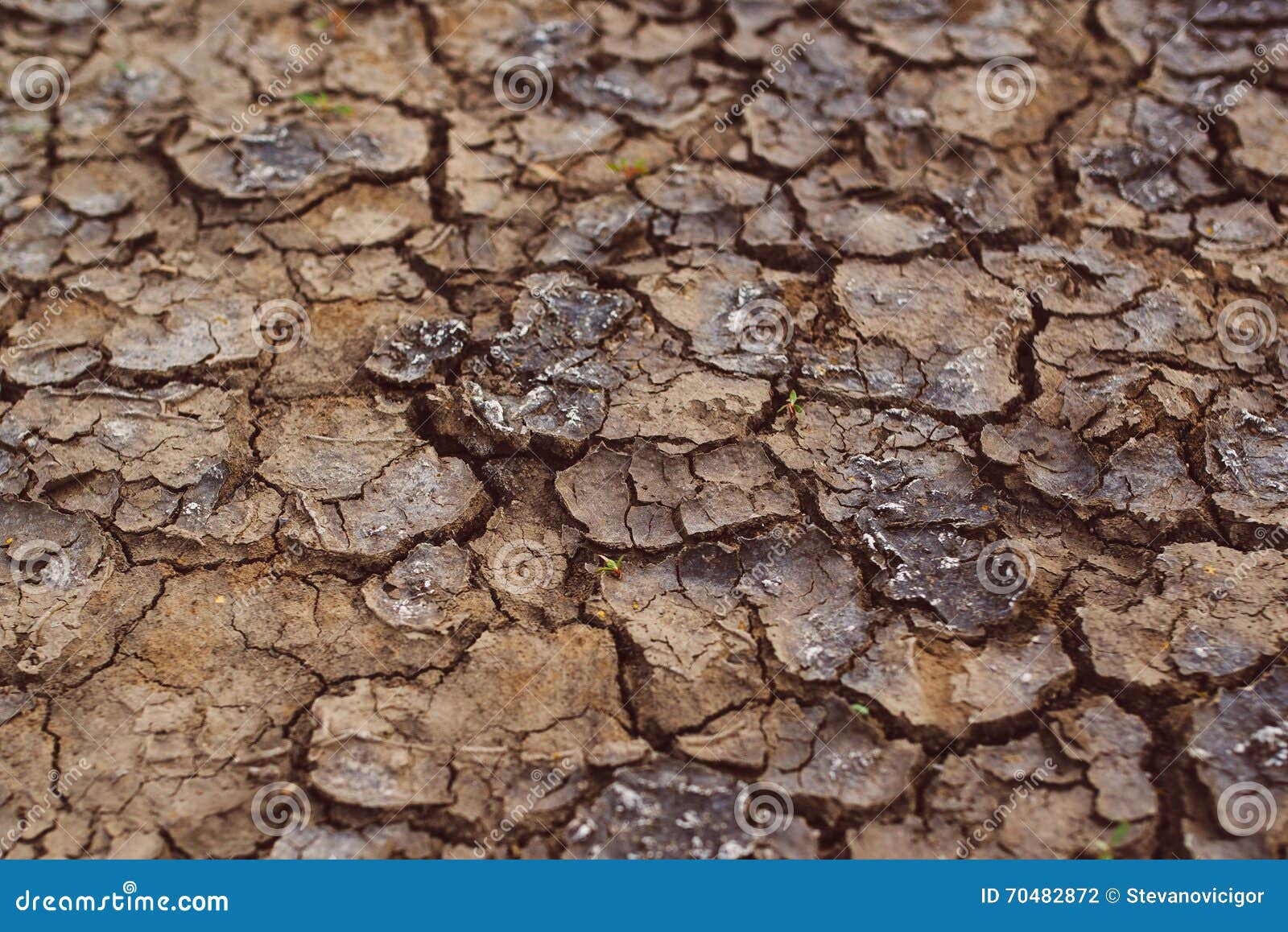 Drought, Mud Cracks in Dry Cultivated Land Stock Photo - Image of ...