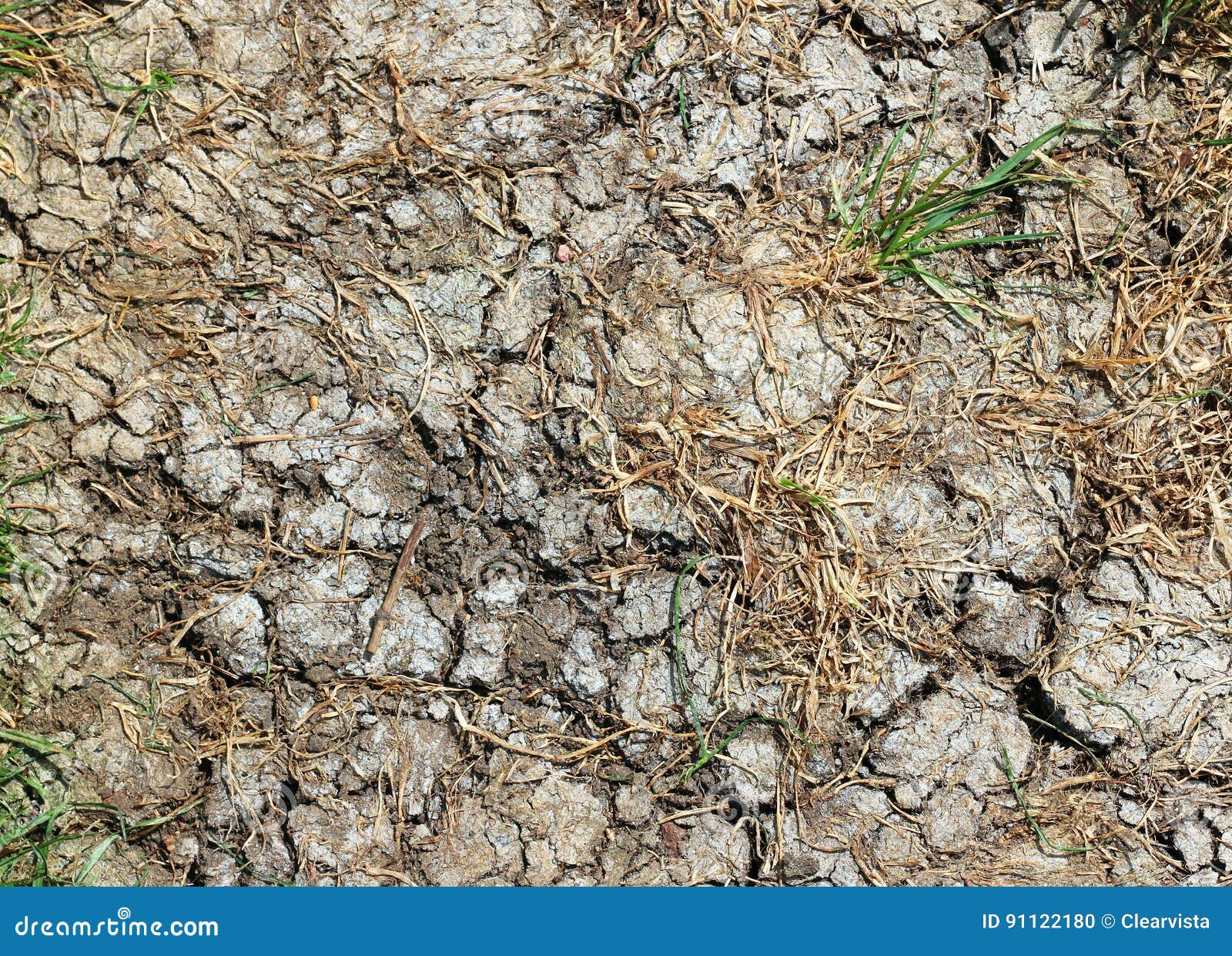 Drought. Parched Dry Cracked Ground. Stock Photo - Image of warming ...