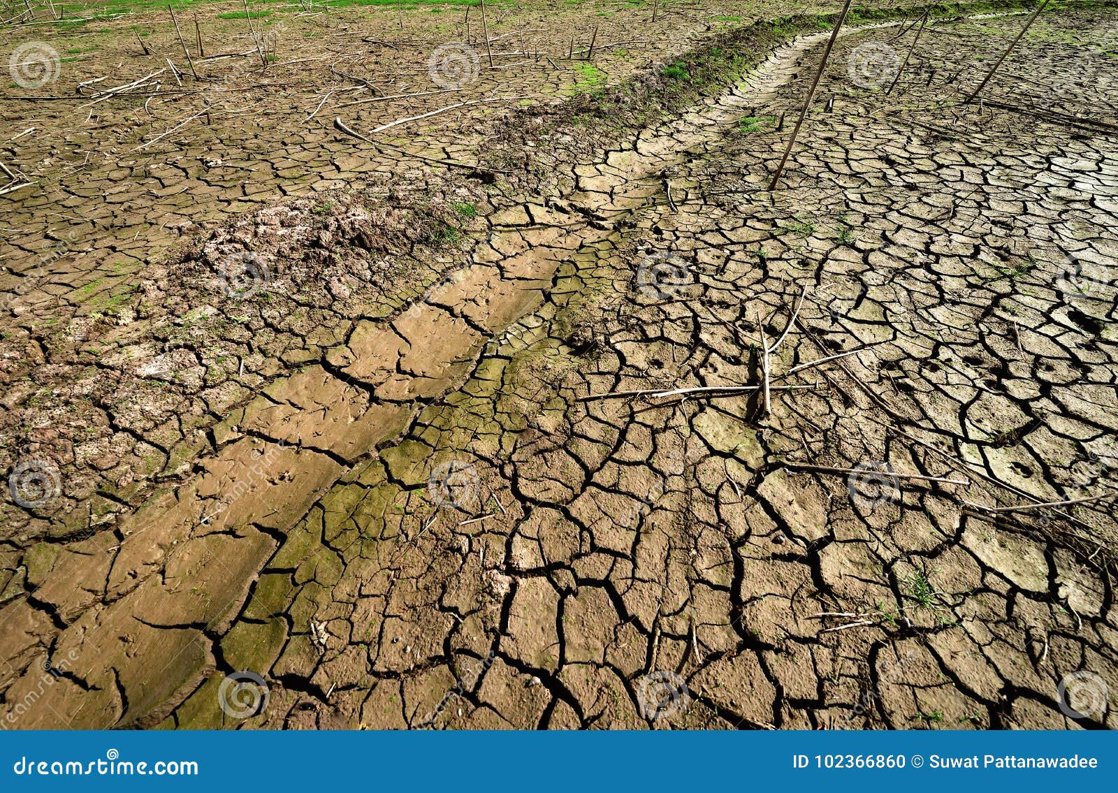 Drought parched ground. stock photo. Image of dirt, adversity - 102366860