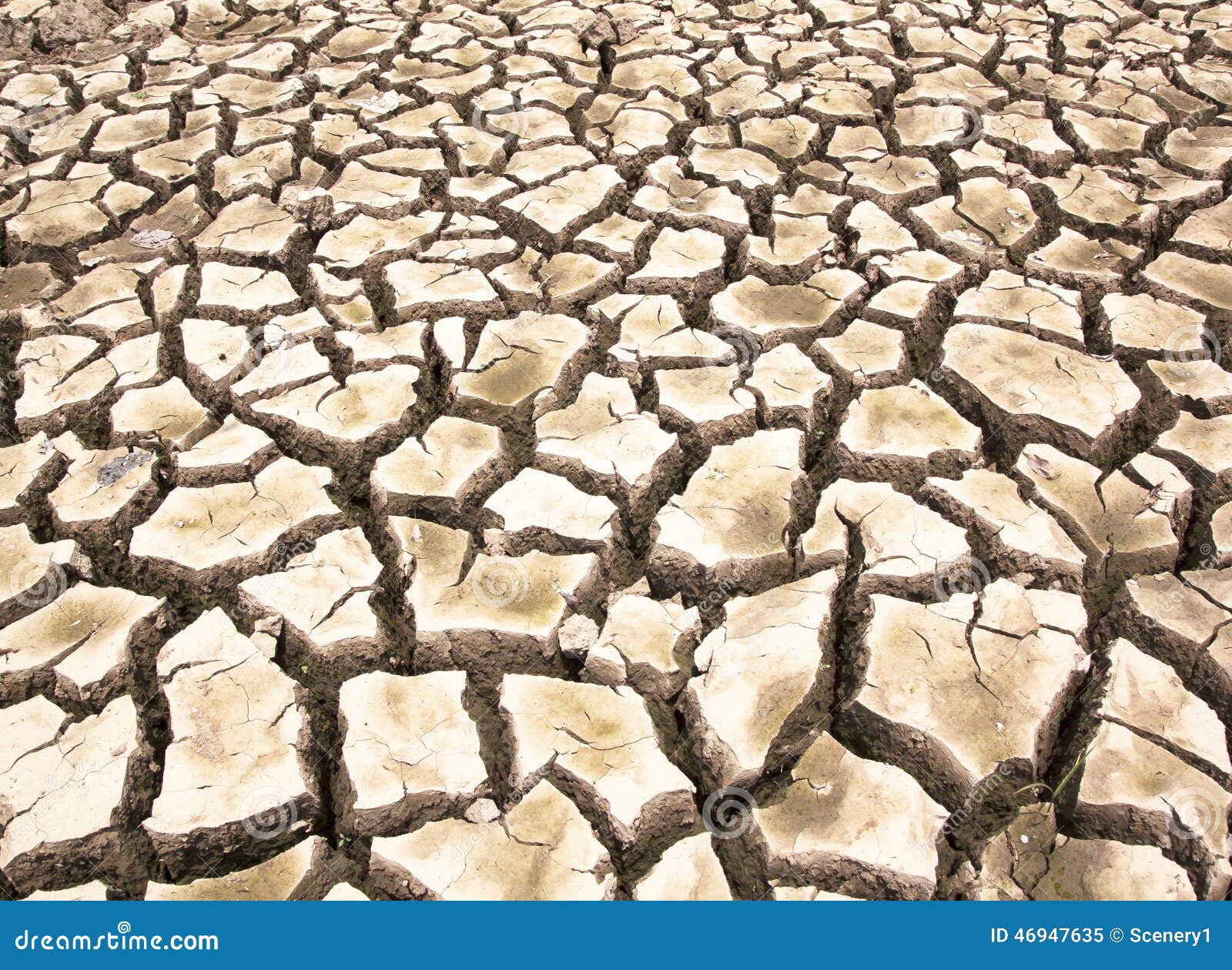 Drought-parched soil stock image. Image of arid, brown - 46947635