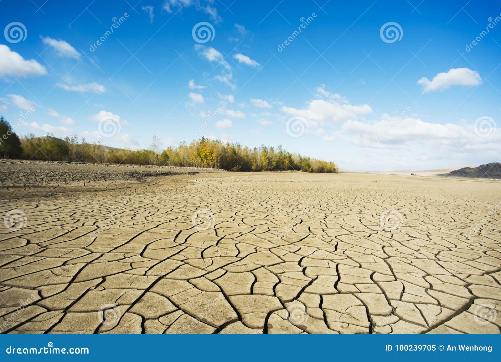 Drought Period of Rivers, and Woods Stock Image - Image of drought ...