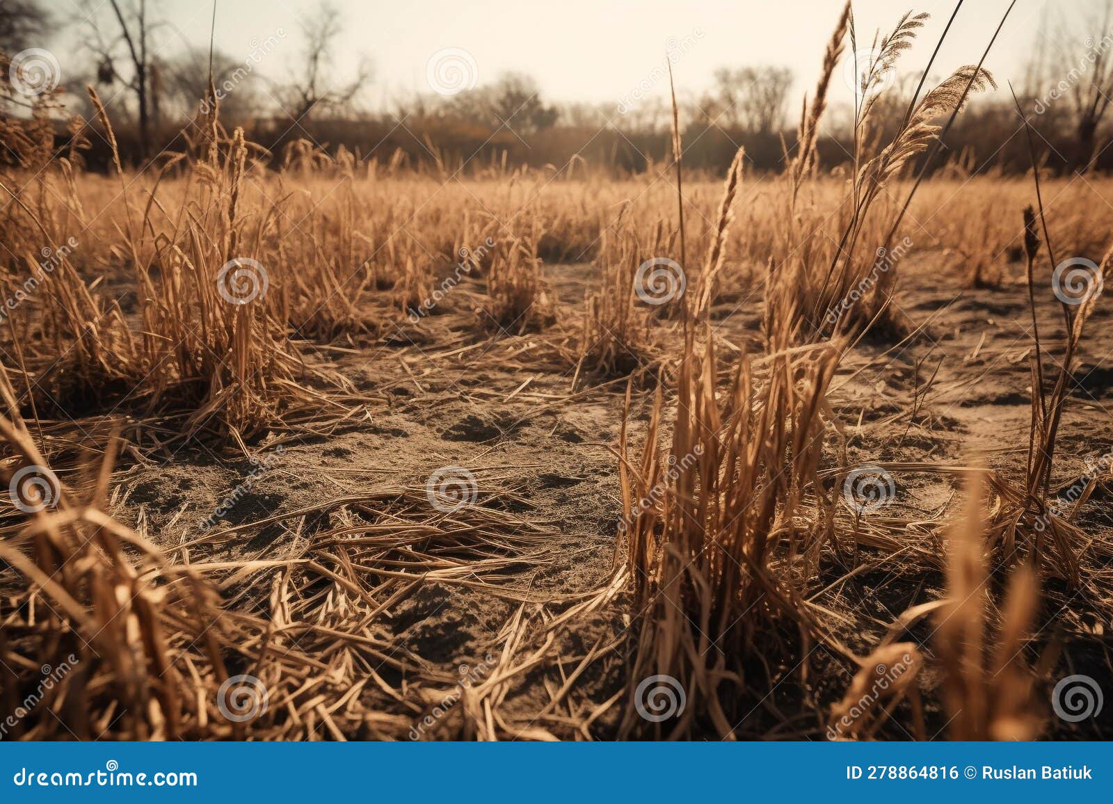 Drought, the Problem of the Future of the Planet, Water Scarcity, Heat ...