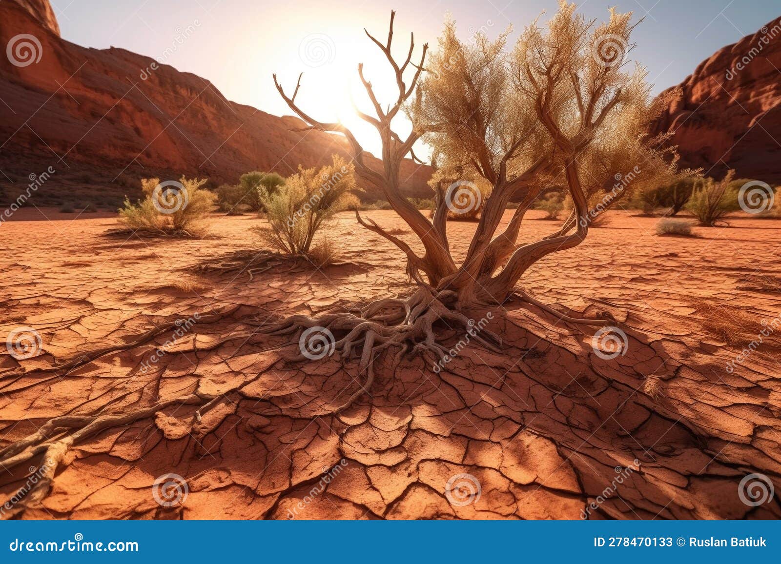 Drought, the Problem of the Future of the Planet, Water Scarcity, Heat ...