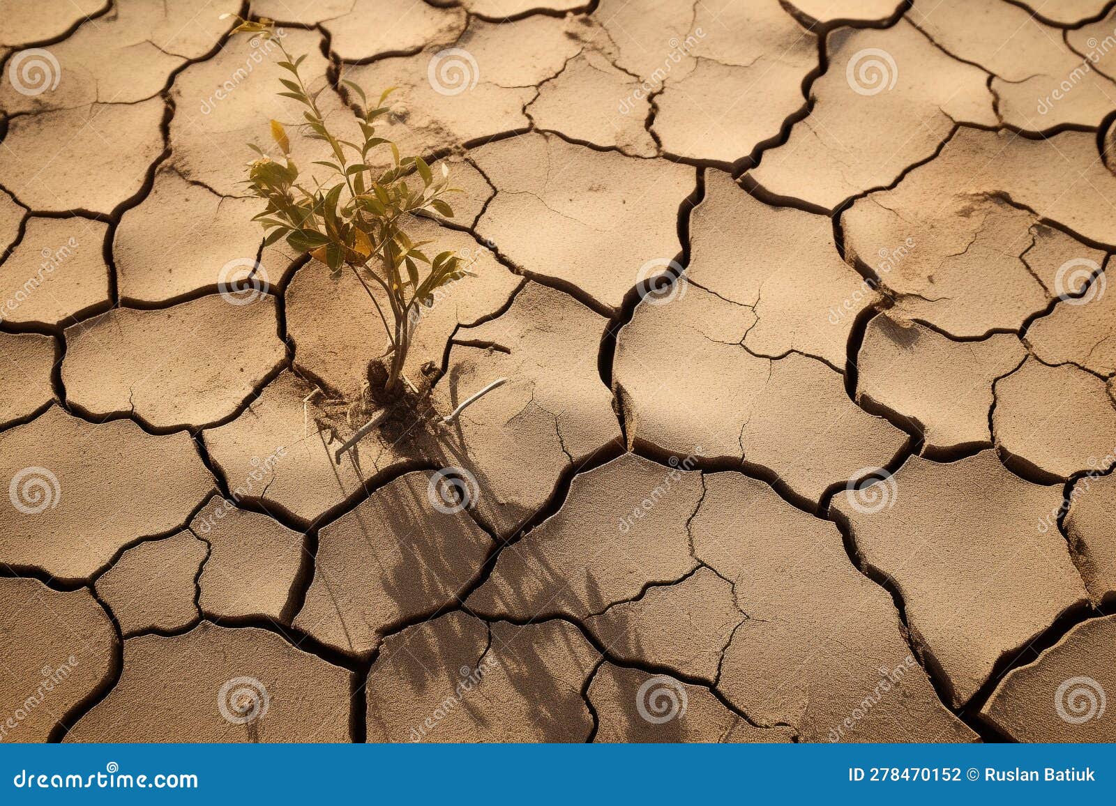 Drought, the Problem of the Future of the Planet, Water Scarcity, Heat ...