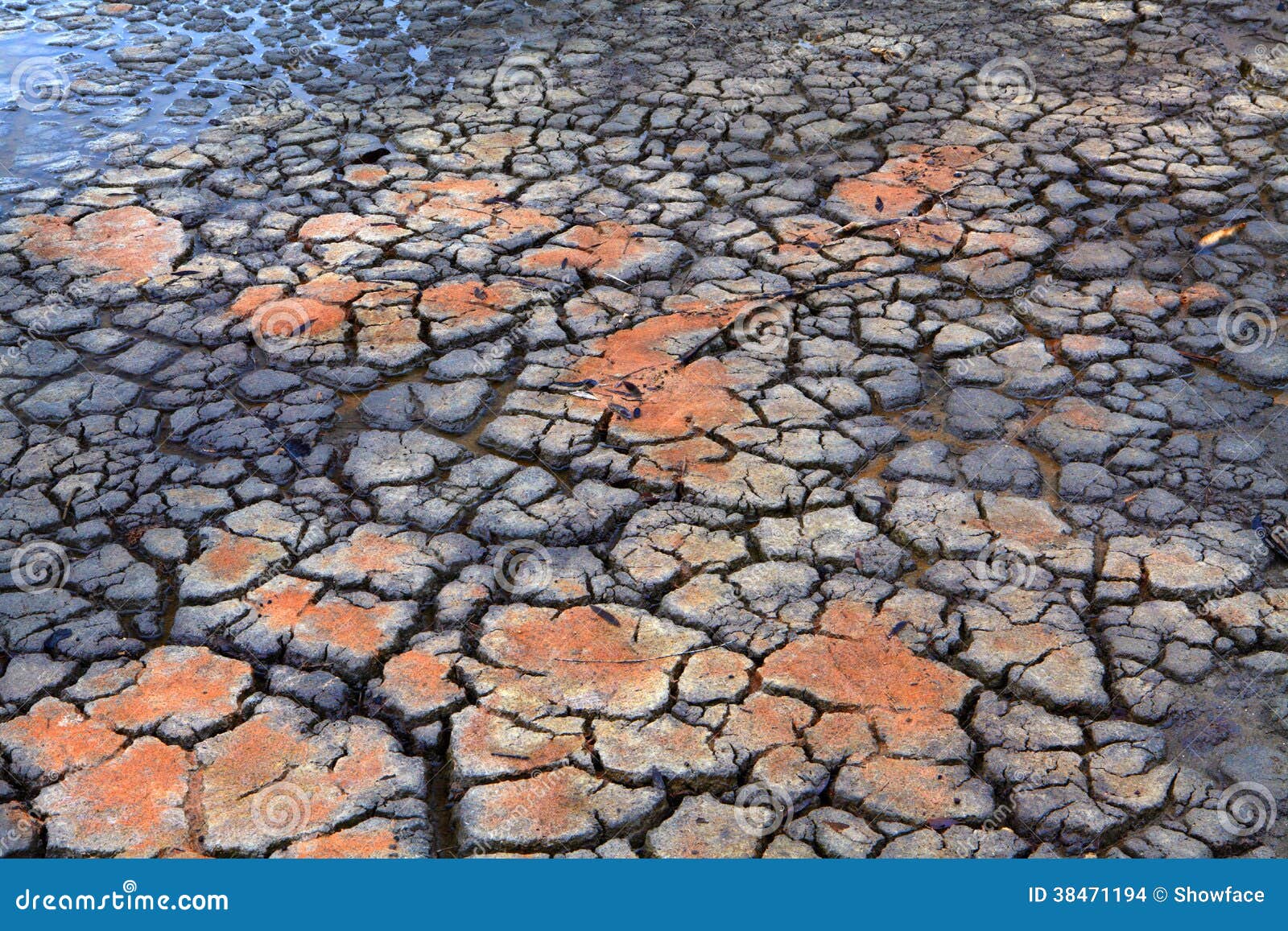 Drought Rain Falls on Dry Parched Cracked Earth Stock Photo - Image of ...