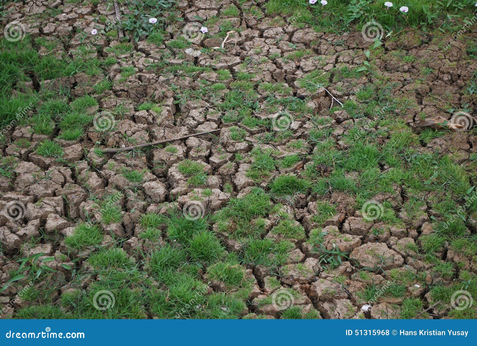 Drought stock photo. Image of starting, start, sunny - 51315968