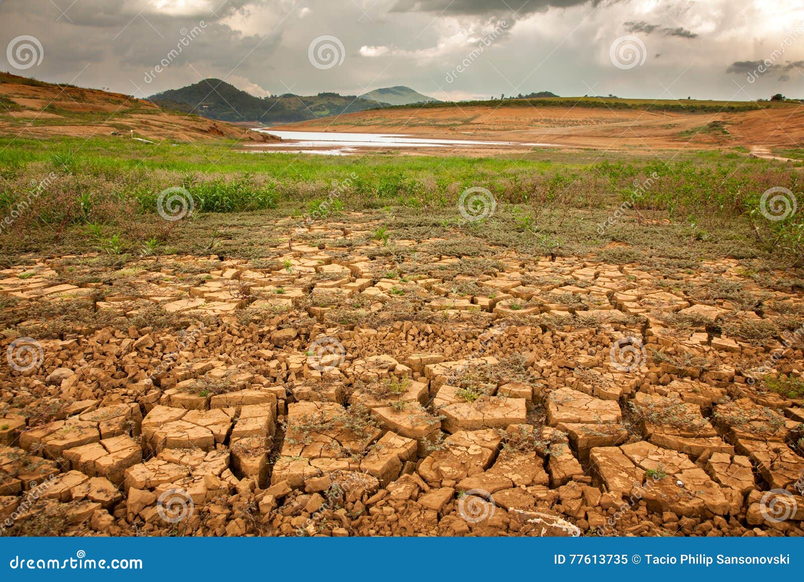 Drought soil stock image. Image of crack, brown, harvest - 77613735