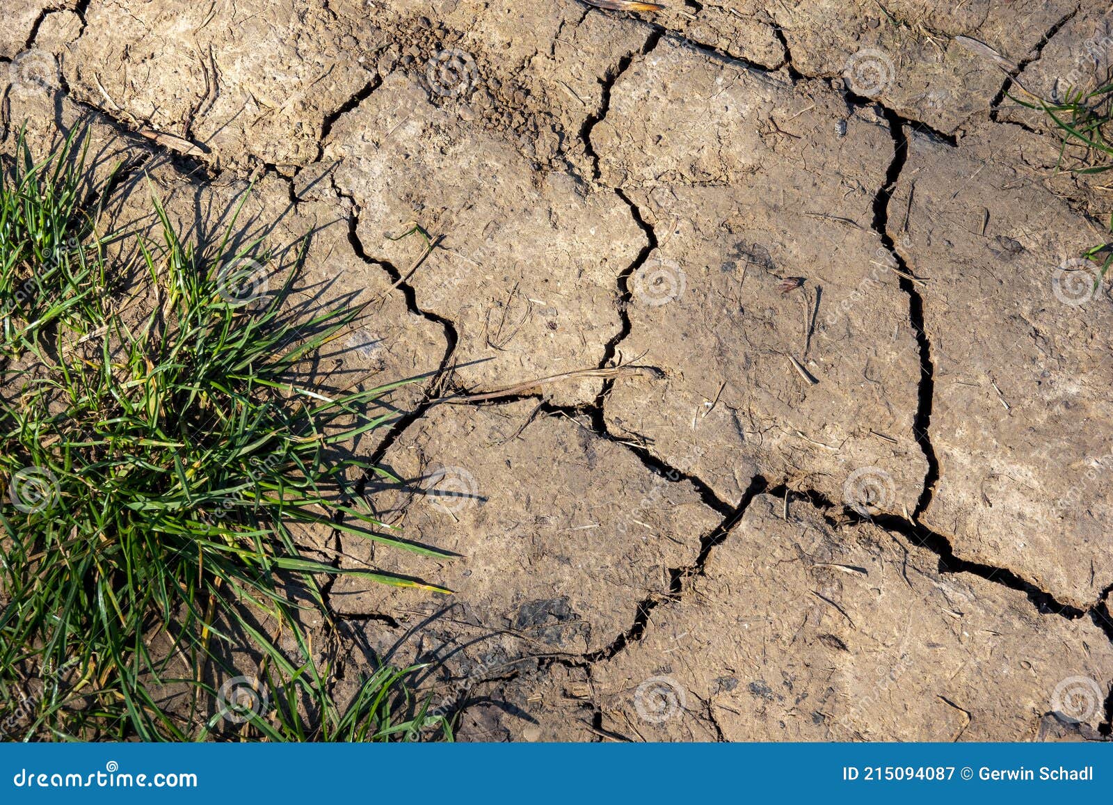 Drought, Soil Cracks in the Agricultural Field Stock Image - Image of ...