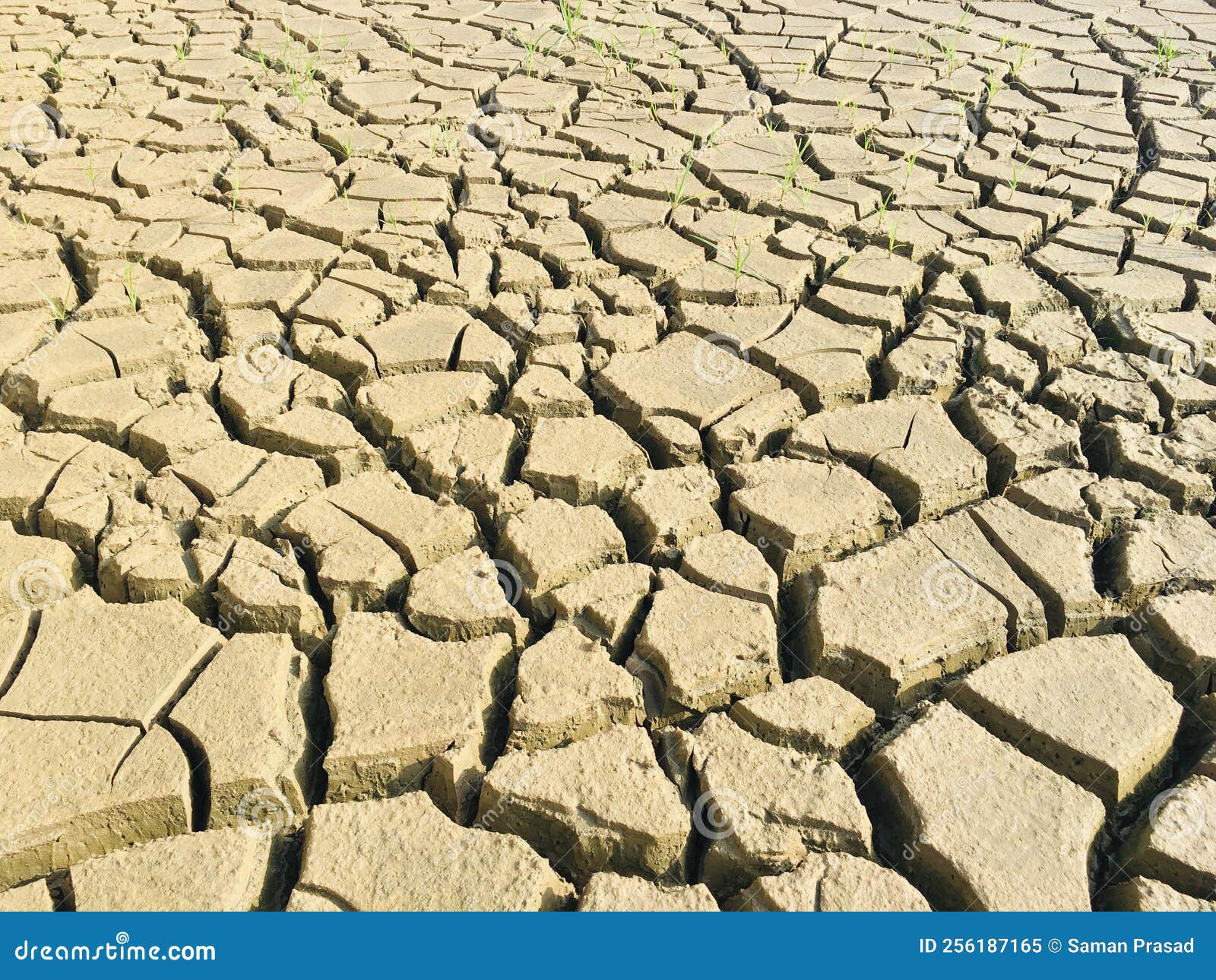 Drought-Strewn Land-No Water Stock Image - Image of land, sidewalk ...