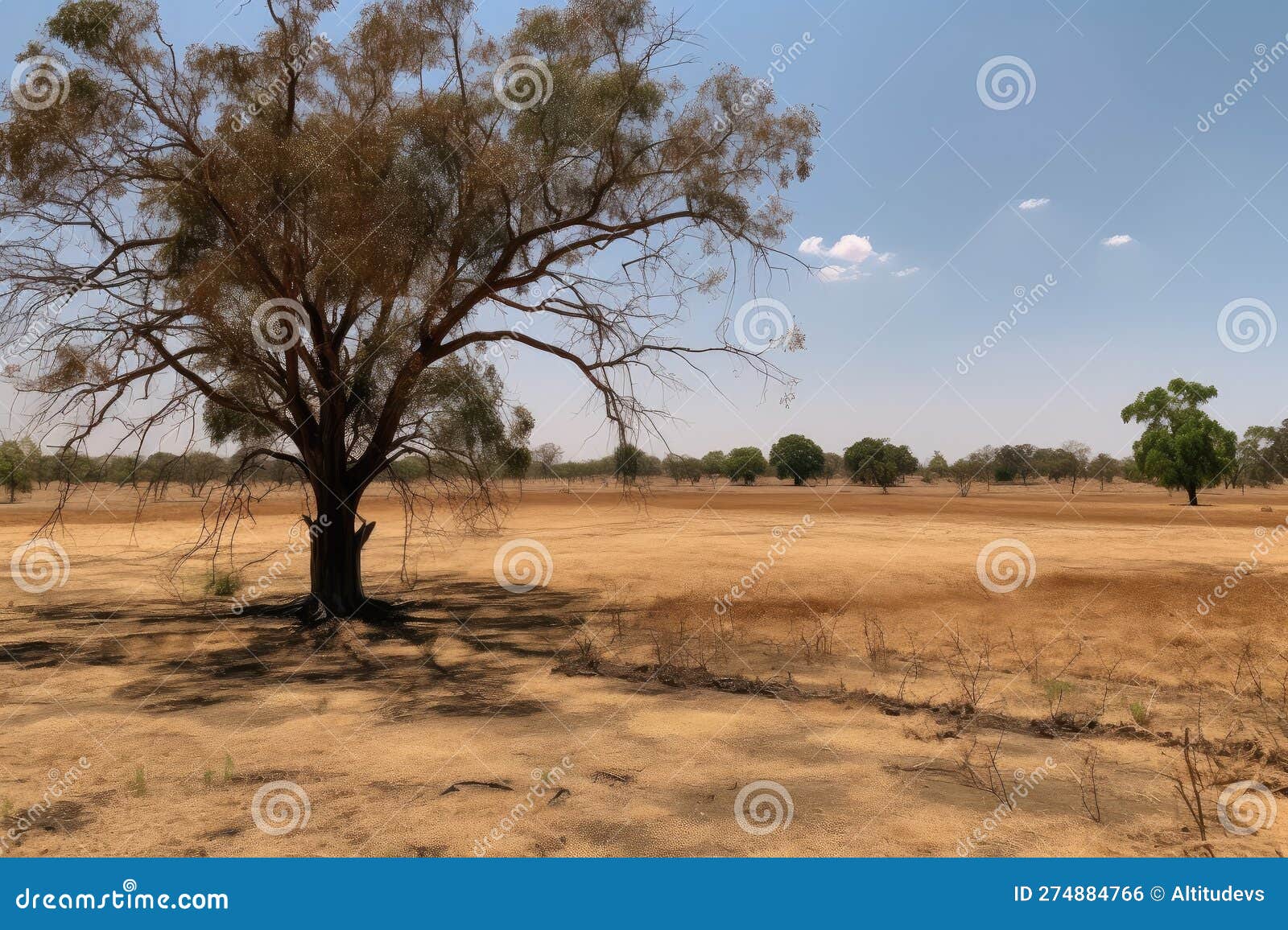 Drought-stricken Ecosystem, With Trees And Crops Wilting In The Heat ...