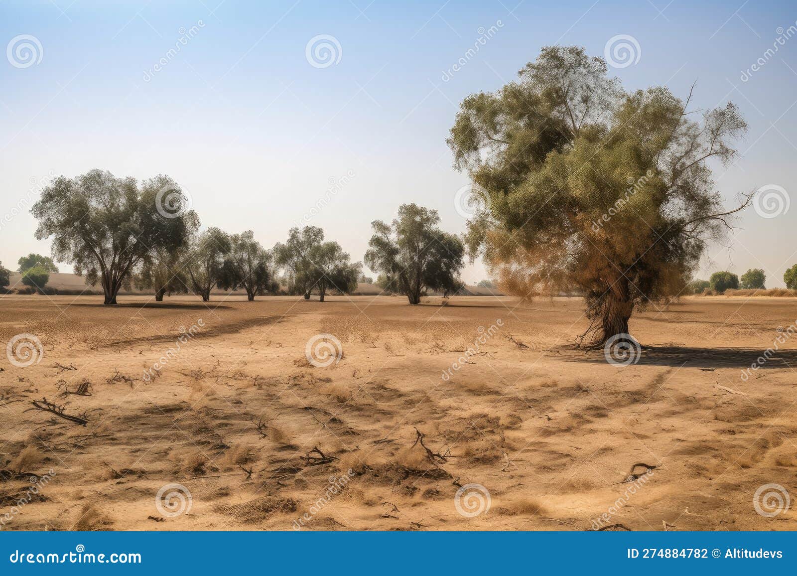 Drought-stricken Ecosystem, with Trees and Crops Wilting in the Heat ...