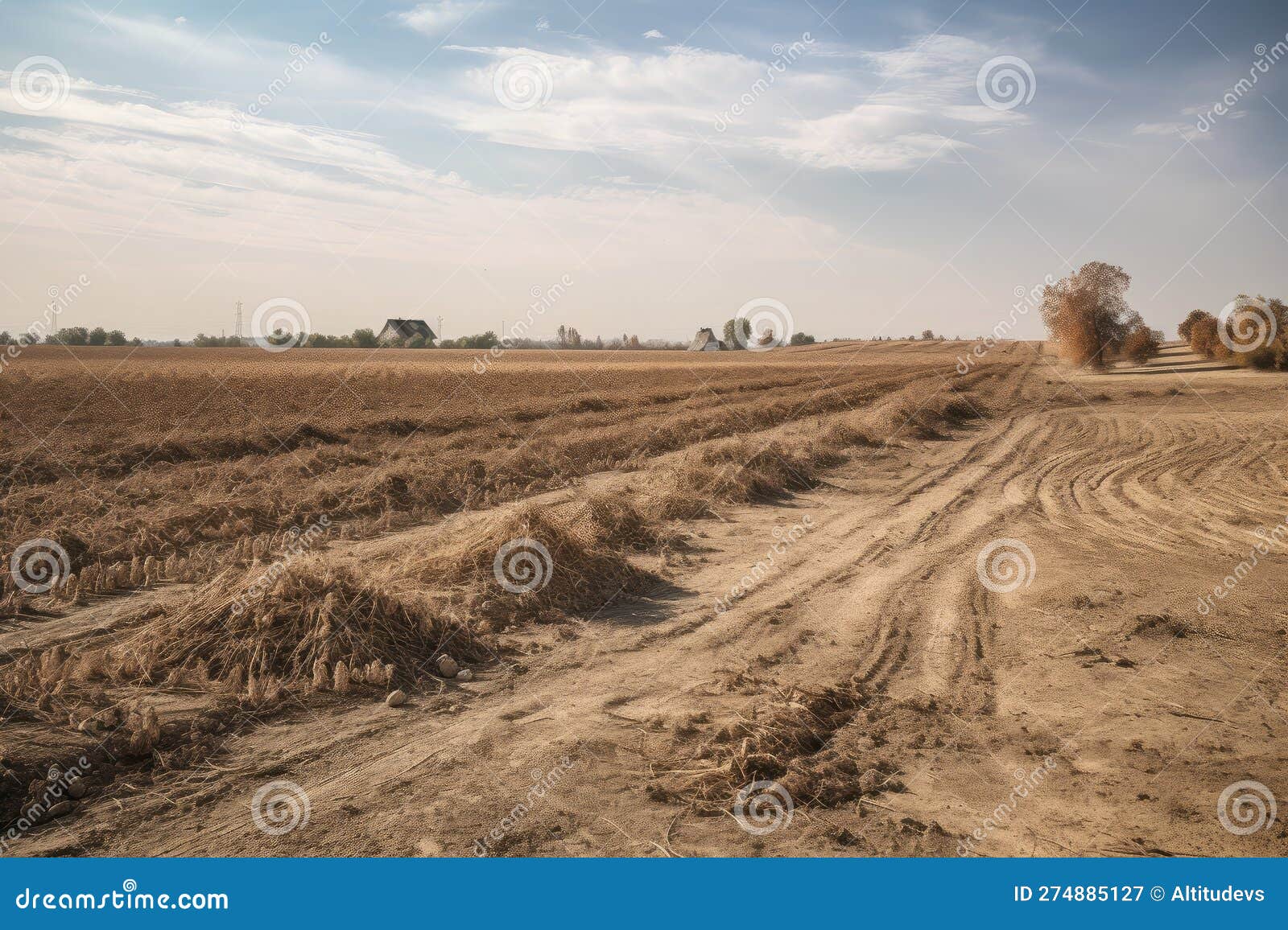 Drought-stricken Farm with Wilted Crops and Dry Fields Stock Image ...