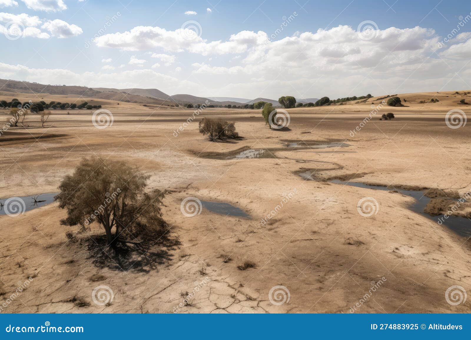 Drought-stricken Landscape, with Dried Riverbed and Barren Fields Stock ...