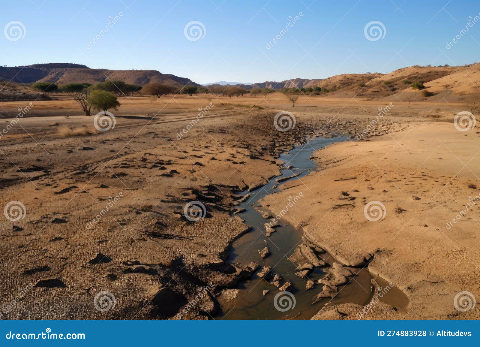 Drought-stricken Landscape, with Dried Riverbed and Barren Fields Stock ...