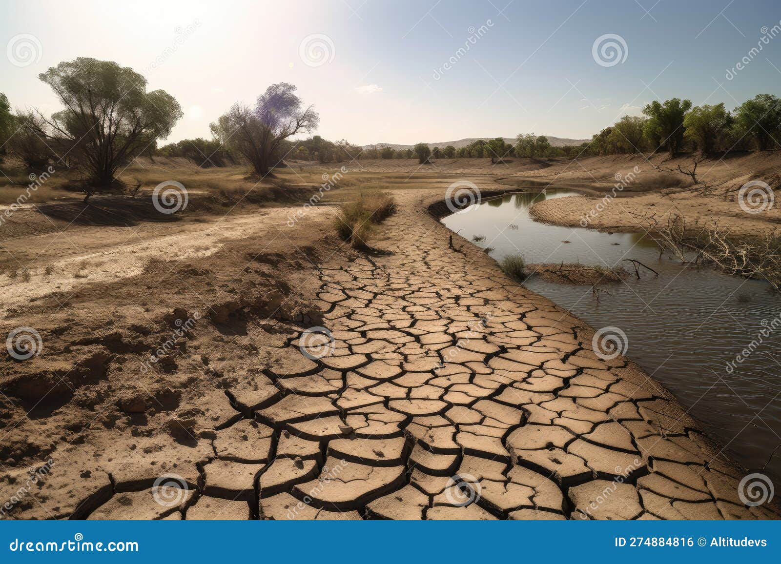 Drought-stricken Landscape with Dried Up River and Cracked Earth Stock ...