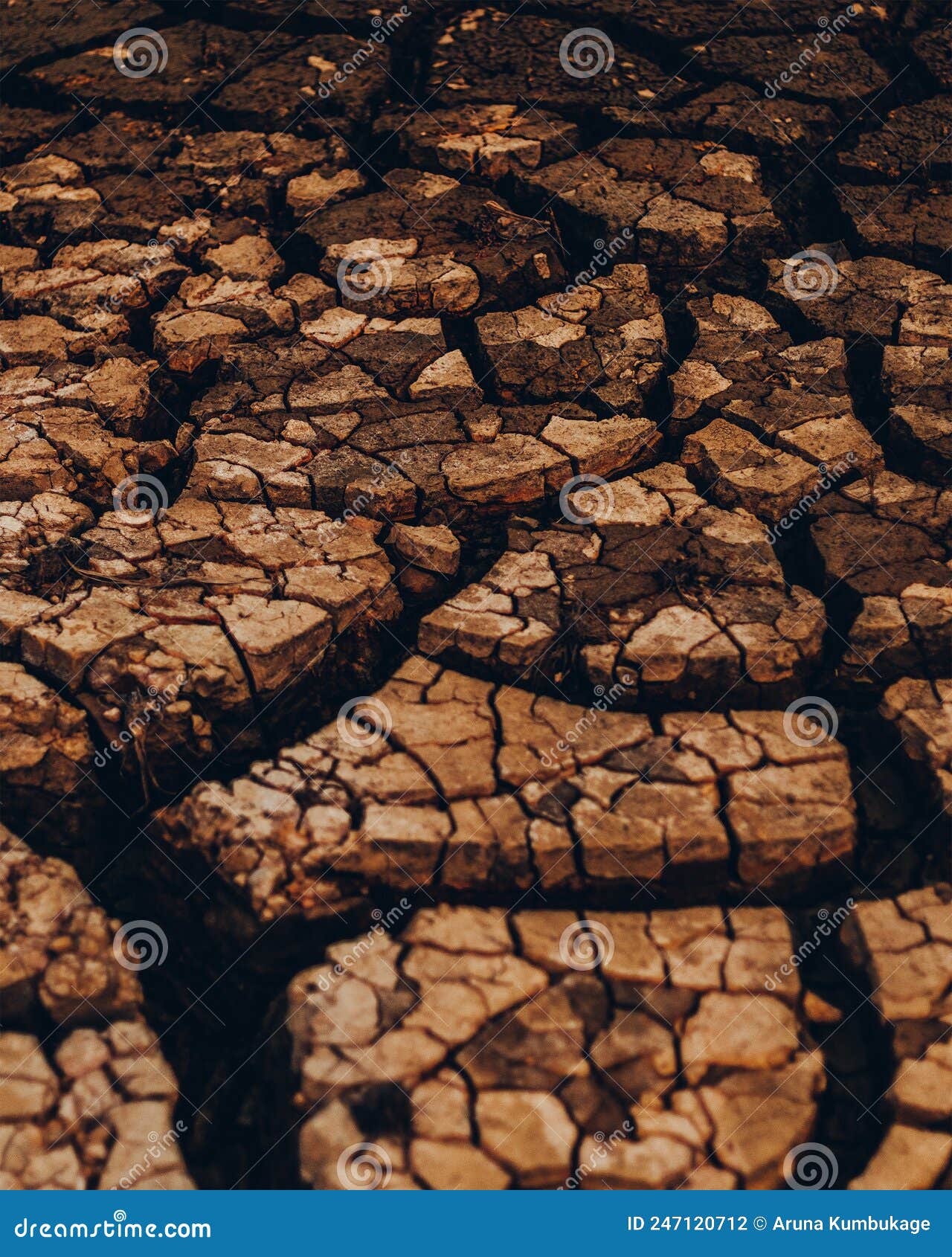 Drought Tessellation stock photo. Image of planet, nature - 247120712