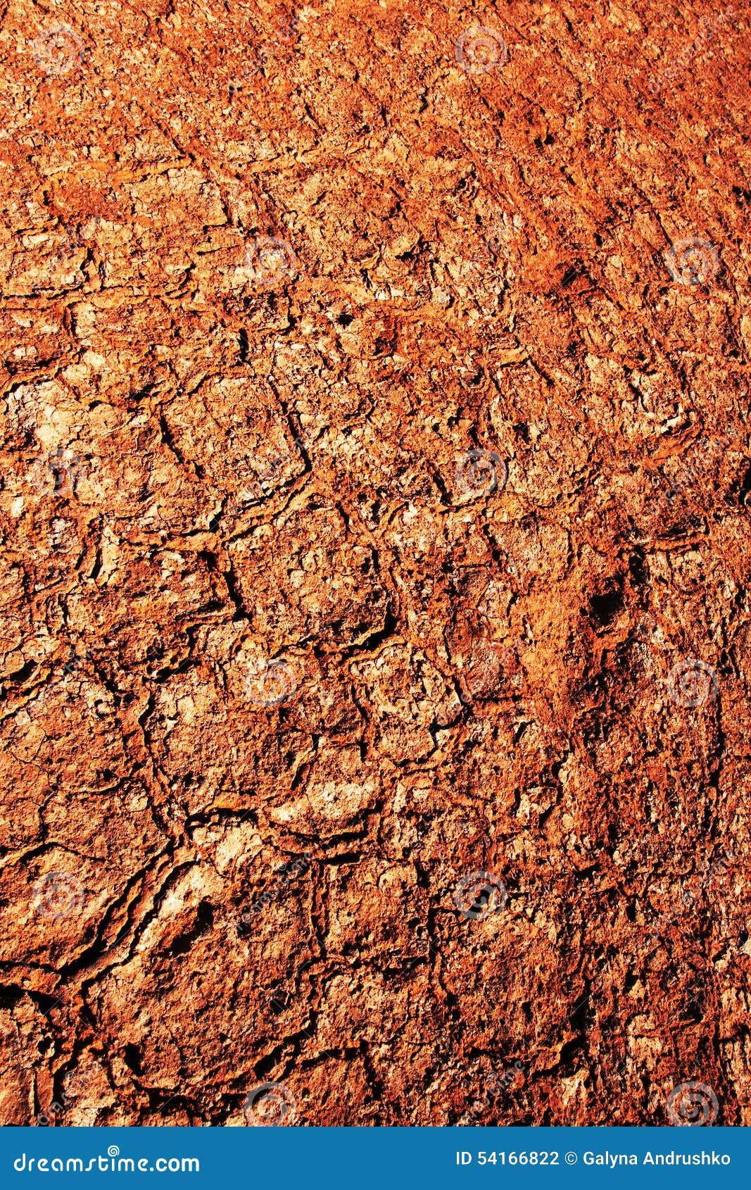 Drought texture stock photo. Image of environment, destruction - 54166822