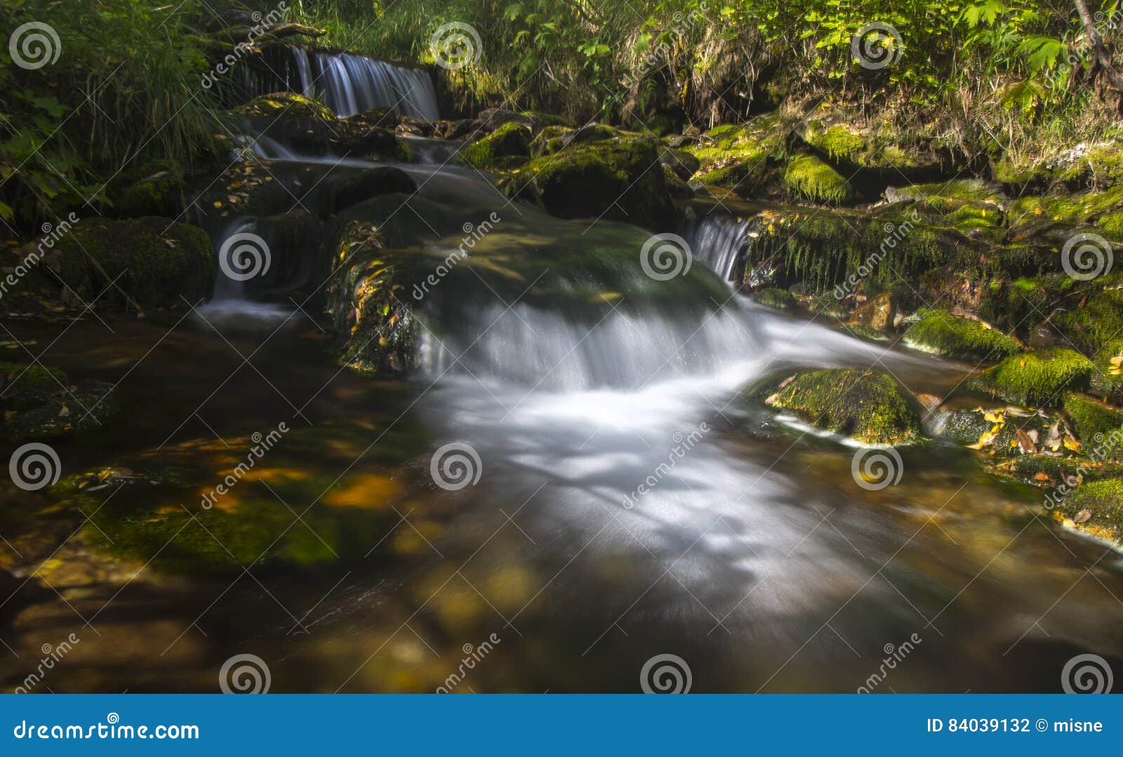 Drowned shadows stock photo. Image of landscapes, alga - 84039132