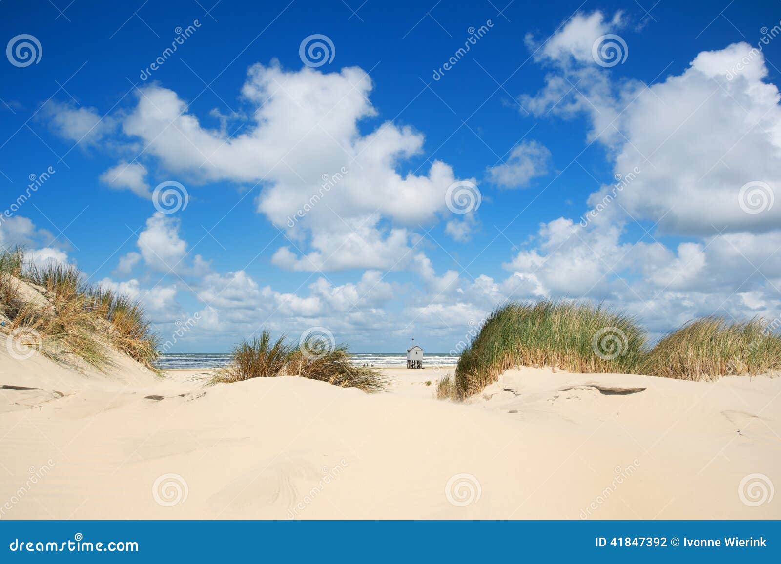 Drowning House at the Beach Stock Photo - Image of gesturing, clouds ...