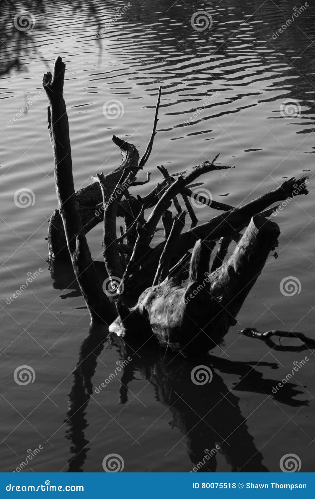 Drowning Struggle stock photo. Image of built, turns - 80075518